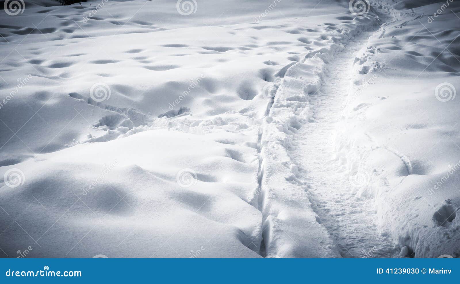 Many Tracks and Footprints in the Snow Stock Photo - Image of adventure ...