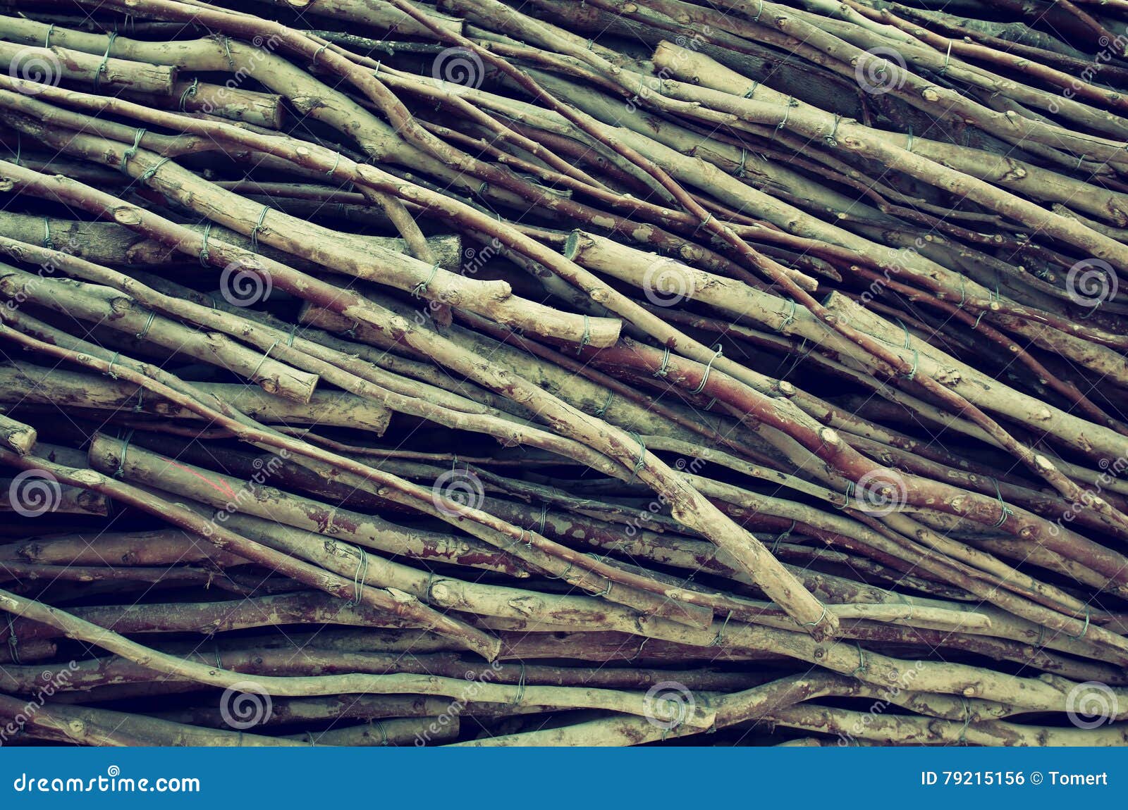 Many Tree Branches Creating Natural Pattern. Retro Filtered Stock Photo ...