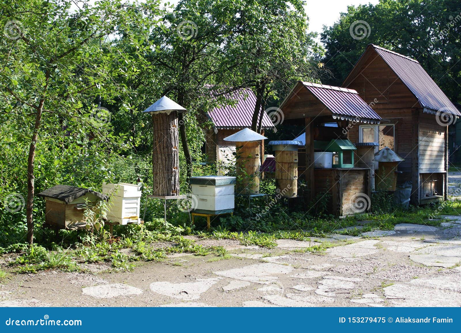 Many Types of Home-made Hives. Apiary in the Village. Stock Image ...