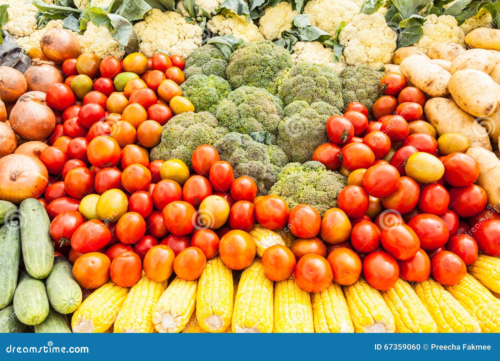 Many types of vegetables stock photo. Image of orange - 67359060