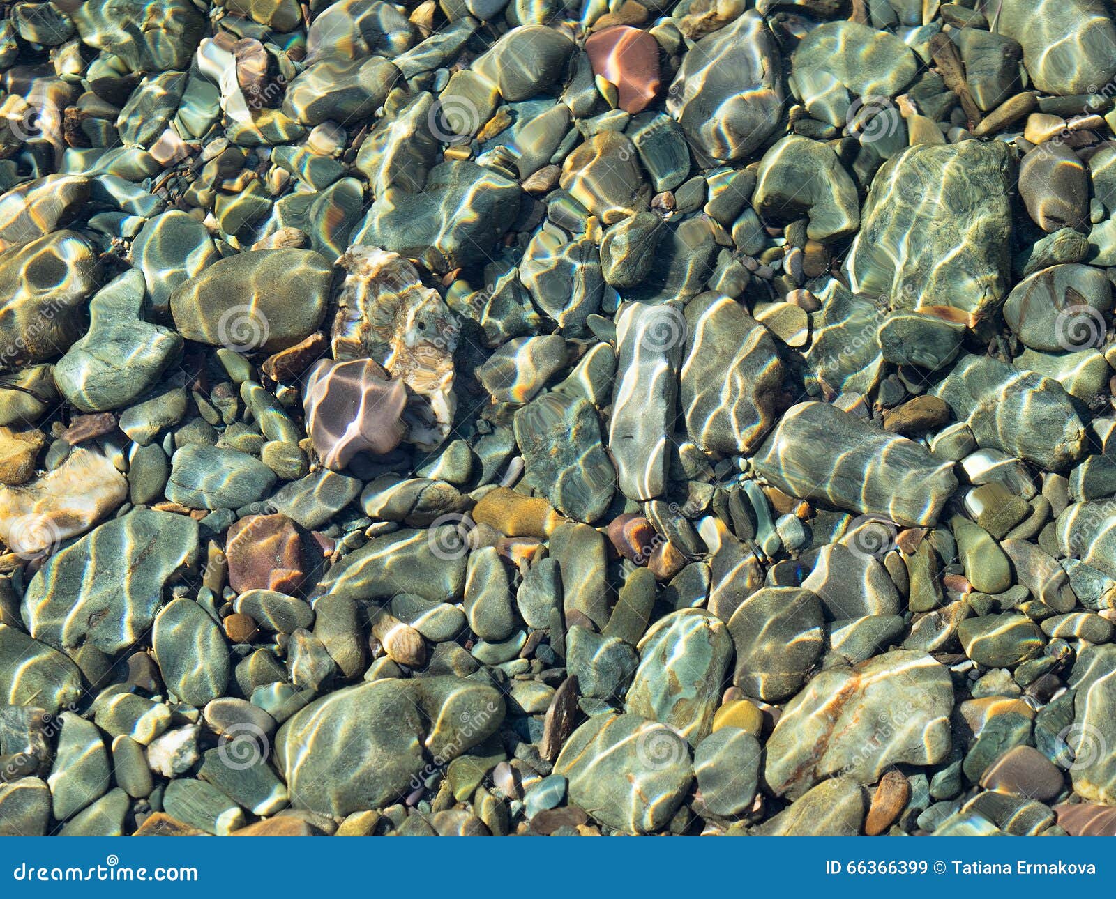 Many Underwater Stones Different Forms and Color. Stock Image - Image ...