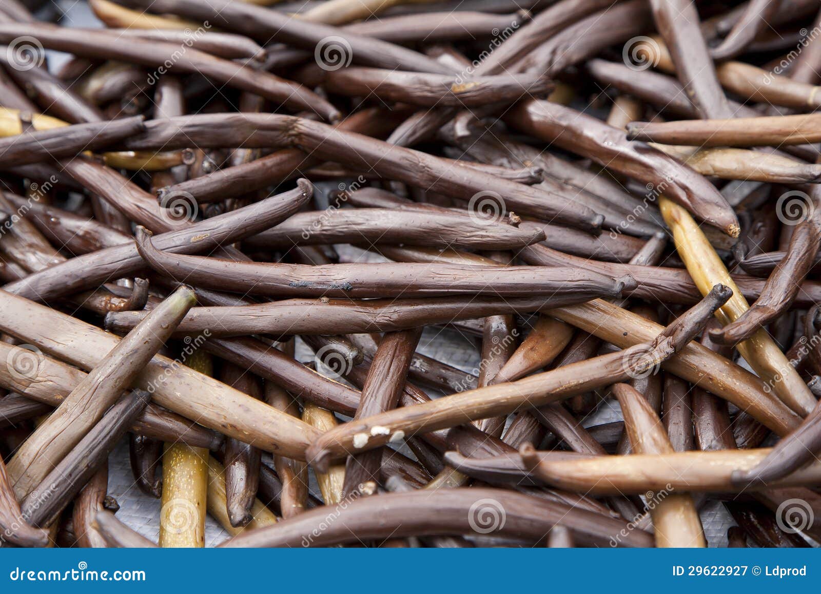 Many vanilla pods stock image. Image of vanilla, cooking - 29622927