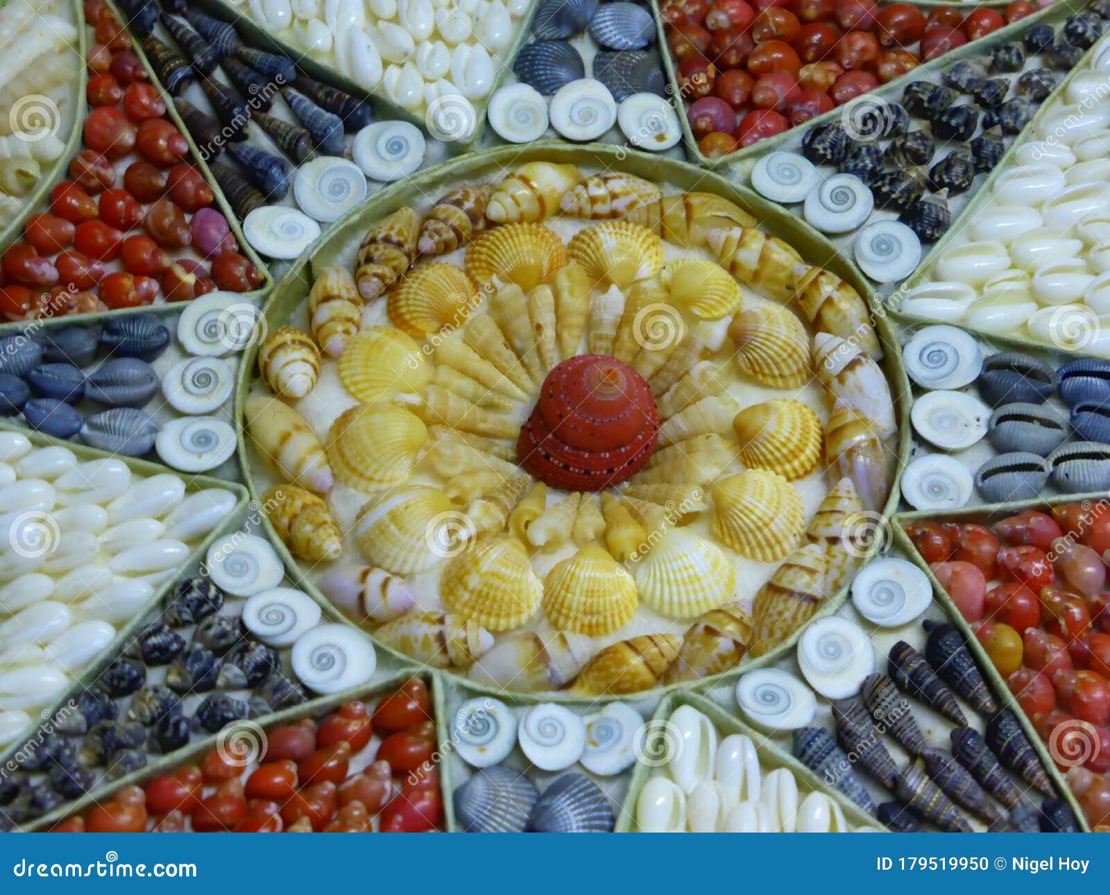 Colourful Seashells Arranged in Star Pattern Stock Photo - Image of ...