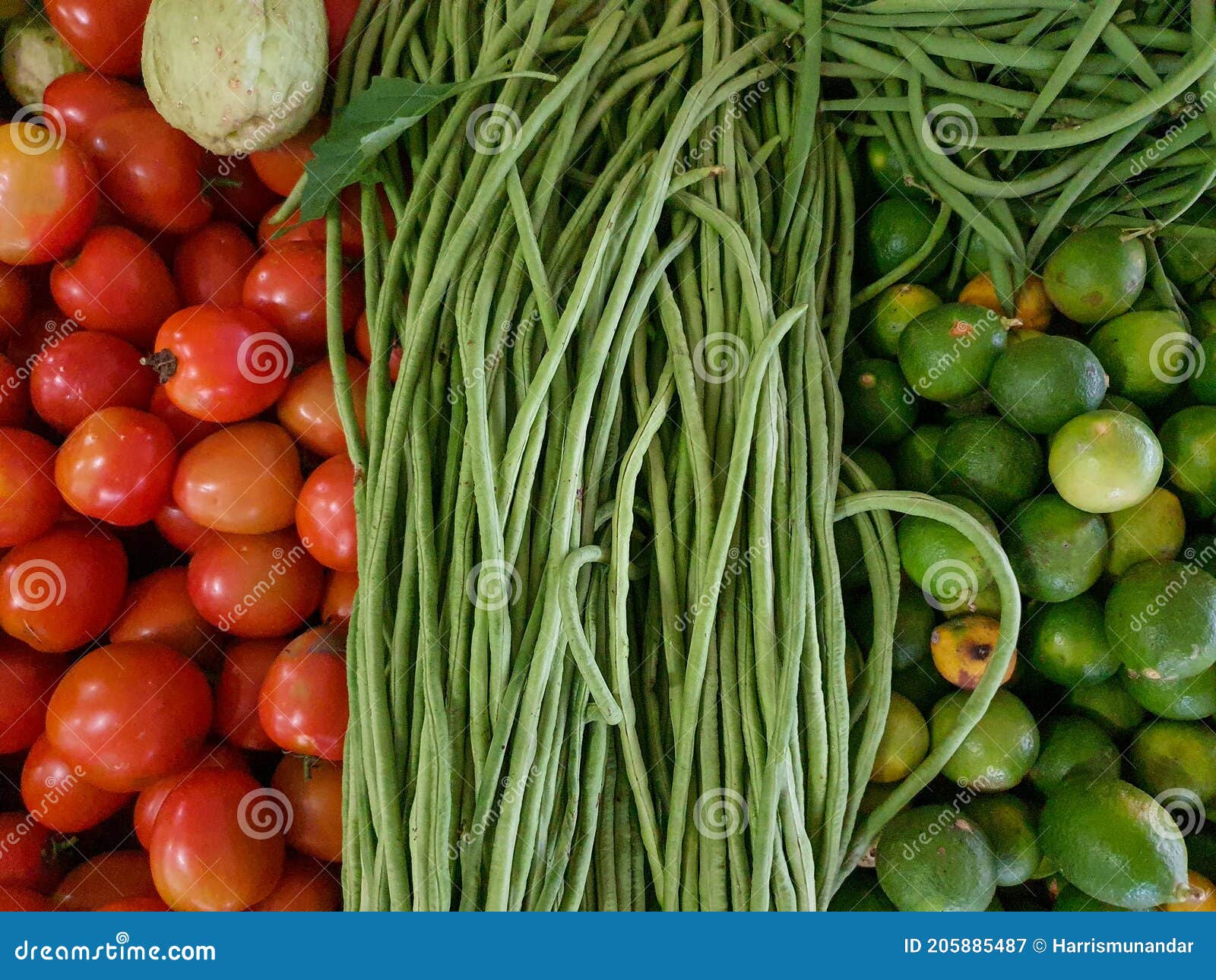 Three vegertables stock image. Image of tomato, long - 205885487