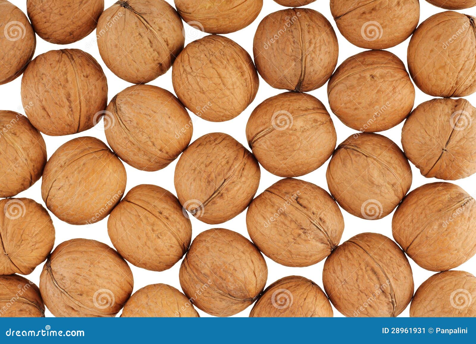 Many walnuts stock image. Image of nature, white, walnut - 28961931