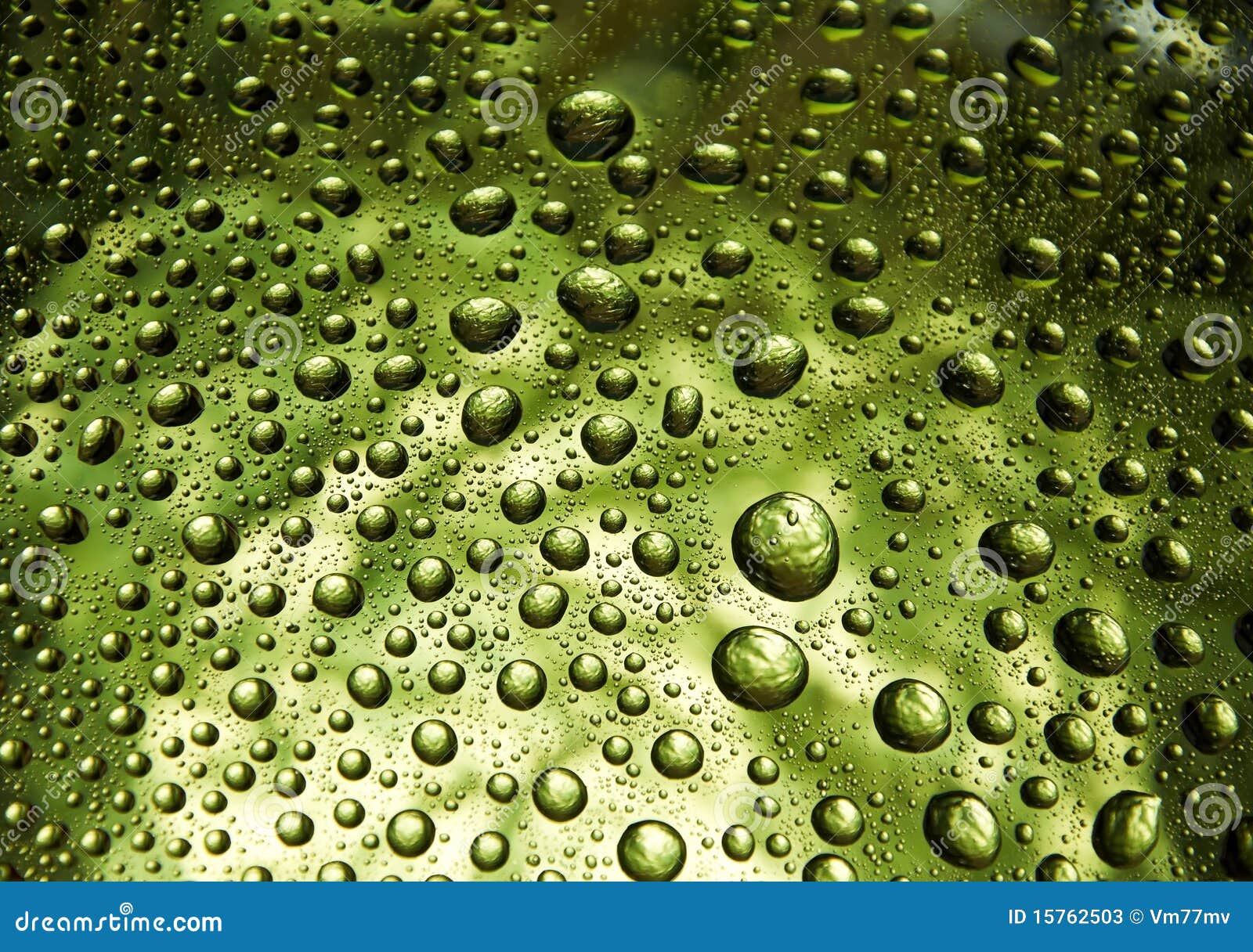 Many Water Drops Picture. Image: 15762503