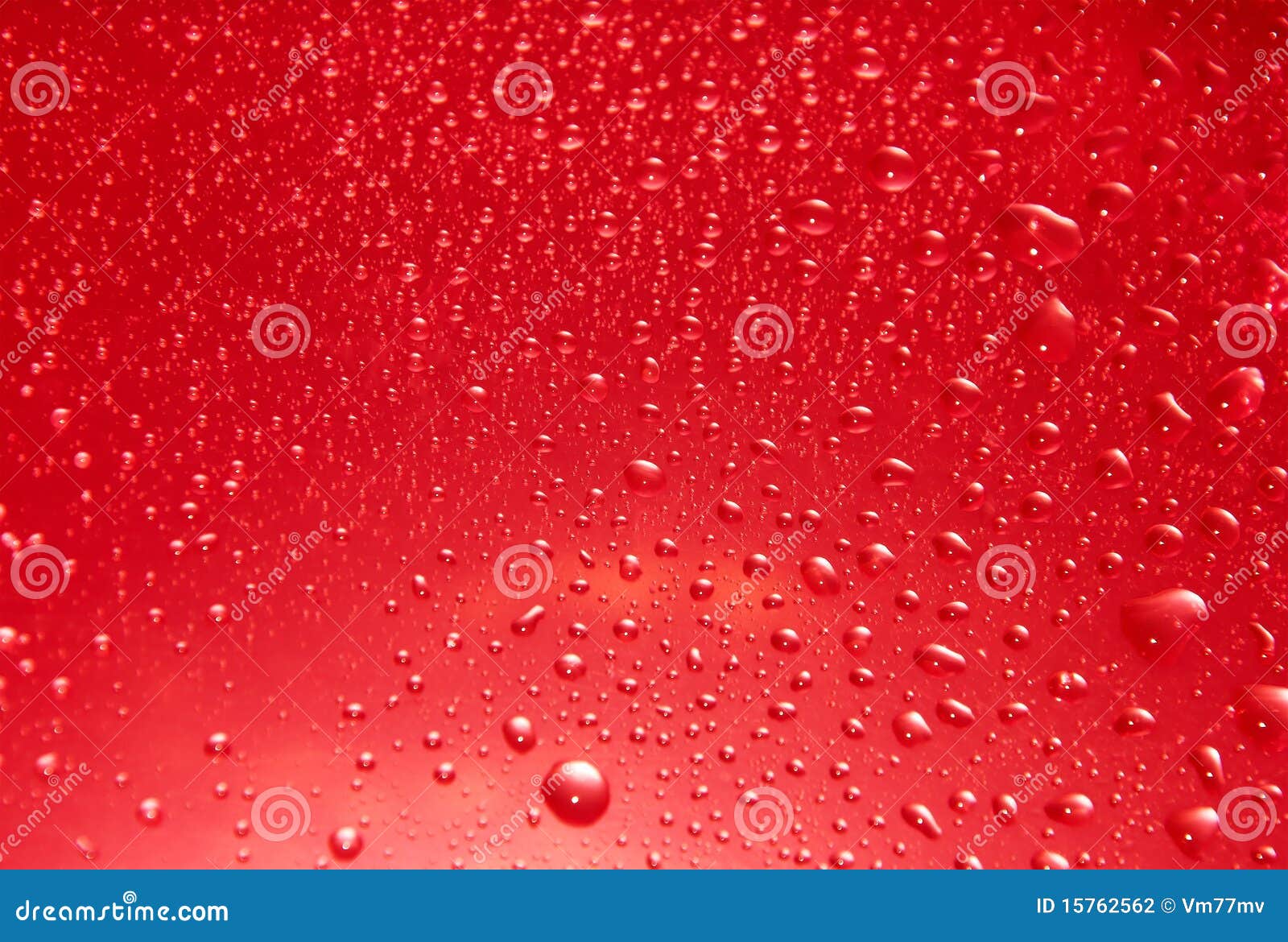 Many water drops stock photo. Image of raindrop, color - 15762562