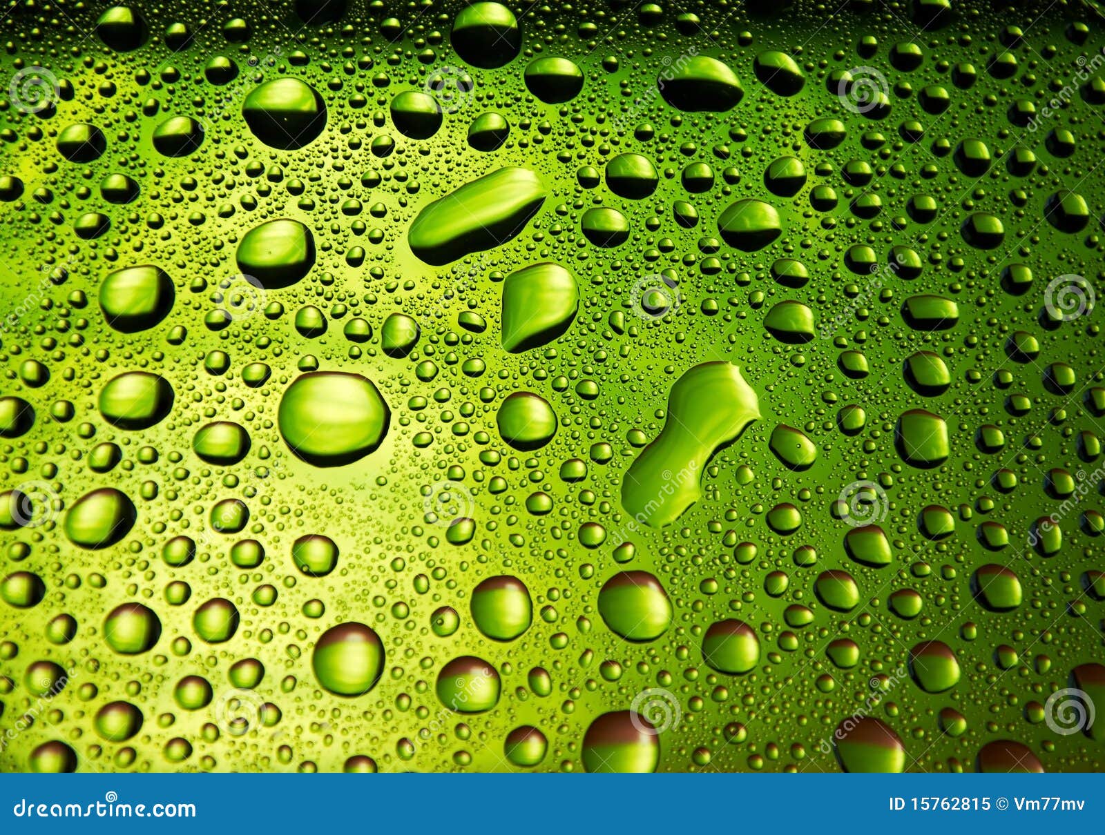 Many Water Drops Picture. Image: 15762815