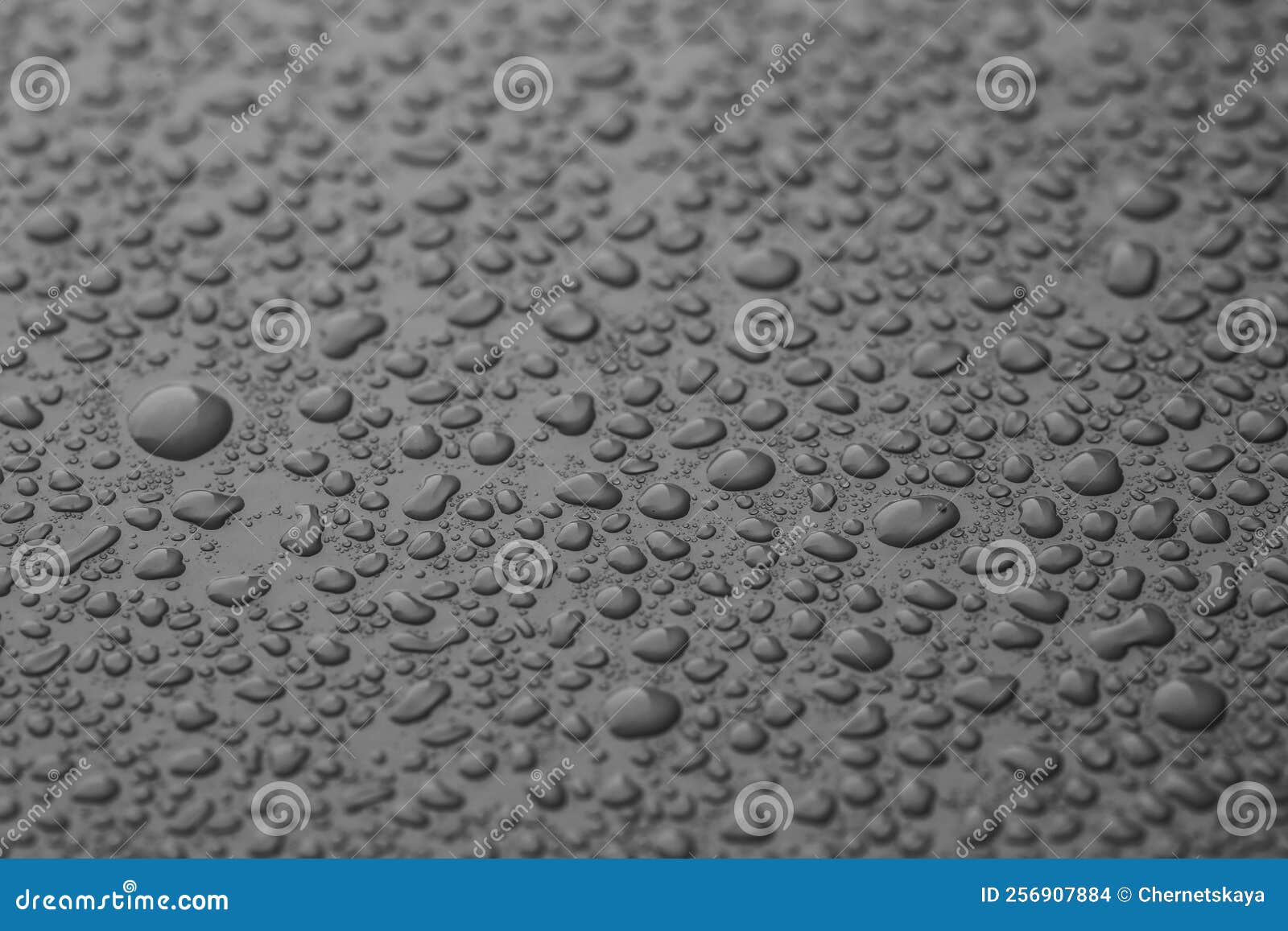 Many Water Drops on Grey Background, Closeup Stock Photo - Image of ...