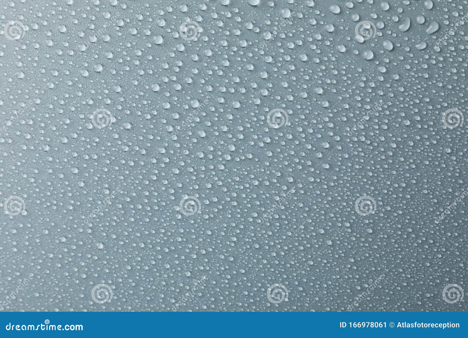 Many Water Drops on Grey Background Stock Image - Image of raindrop ...