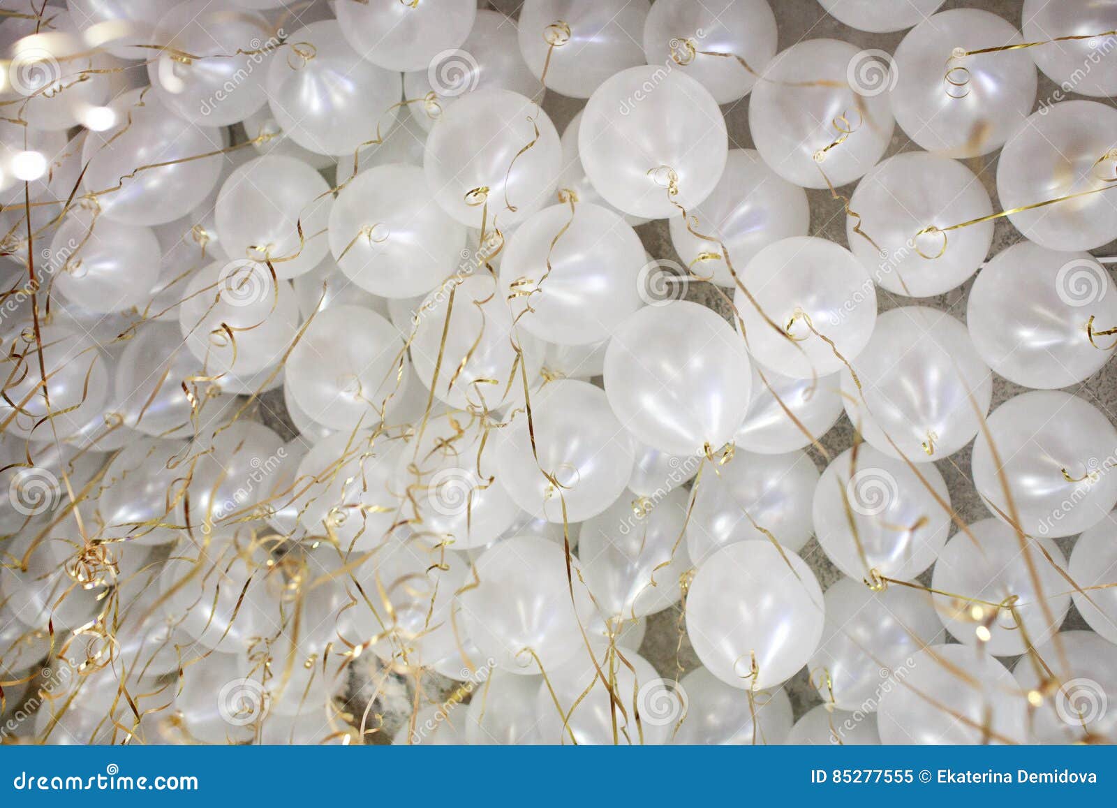 Many White Balloons with Gold Ribbon Ceiling Stock Image - Image of ...