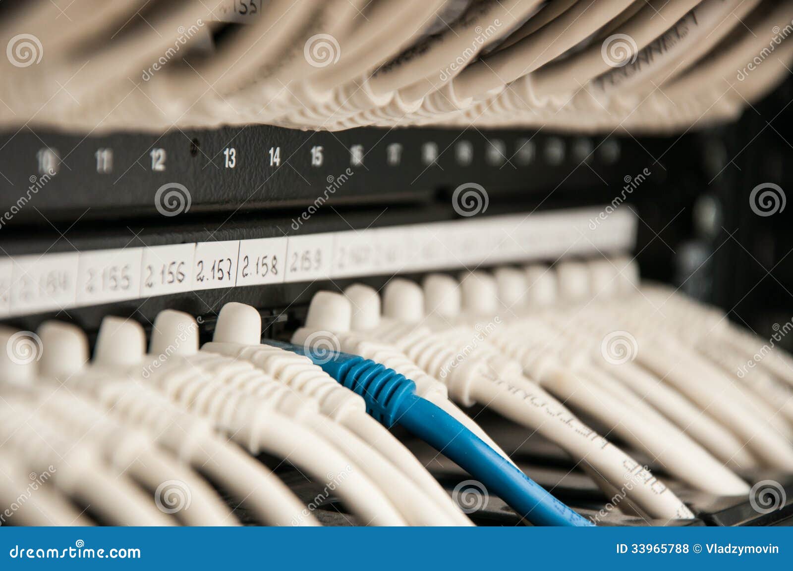 Many Whites and One Blue Cable in Communication Rack Stock Photo ...