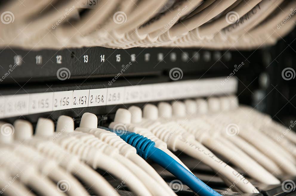 Many Whites and One Blue Cable in Communication Rack Stock Photo ...