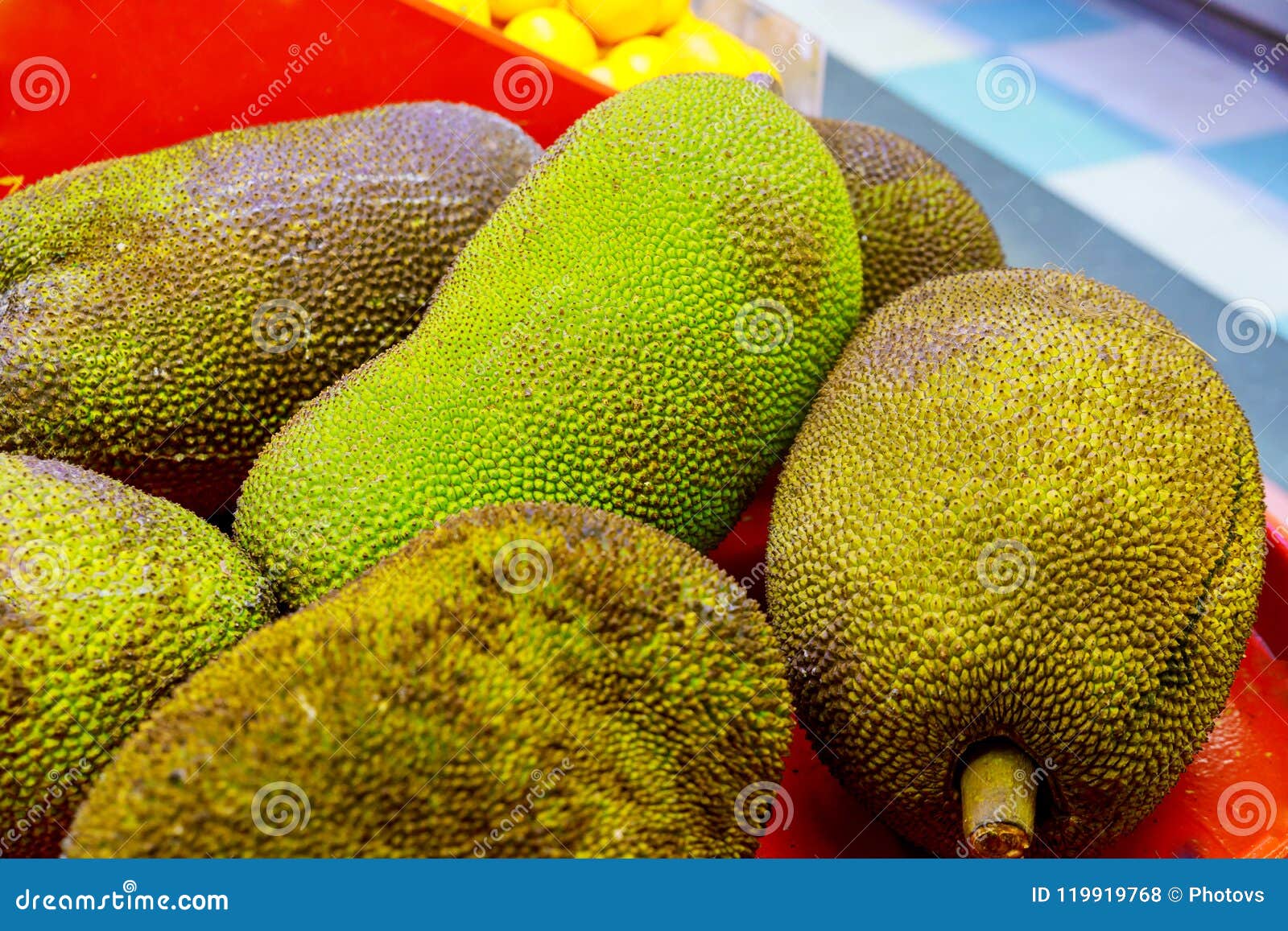 Green Jack Fruit Leaves With Natural Background. The Jack Fruit Also ...