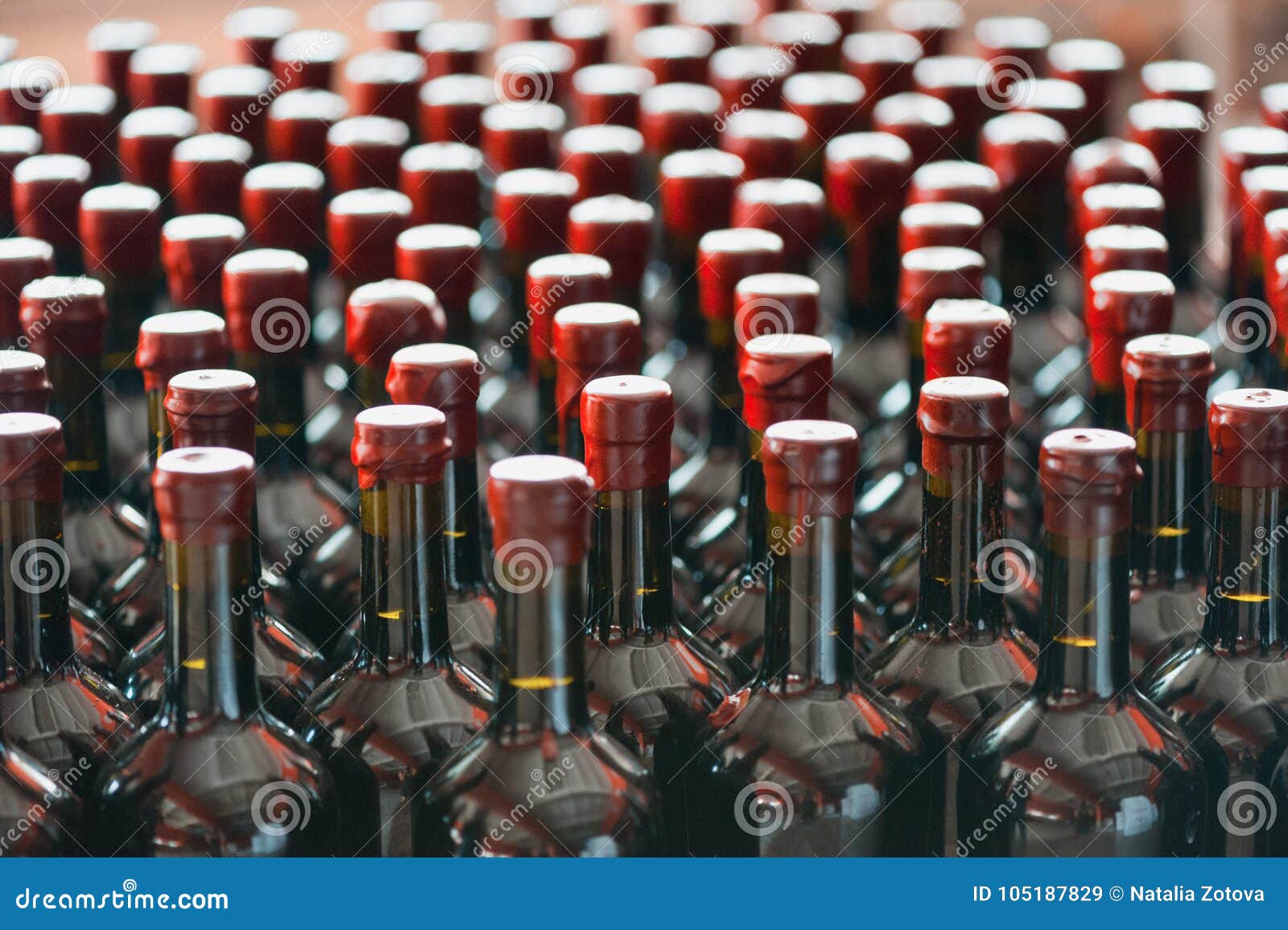 Many Wine Bottles Arranged Neatly Stock Image - Image of pattern, neat ...