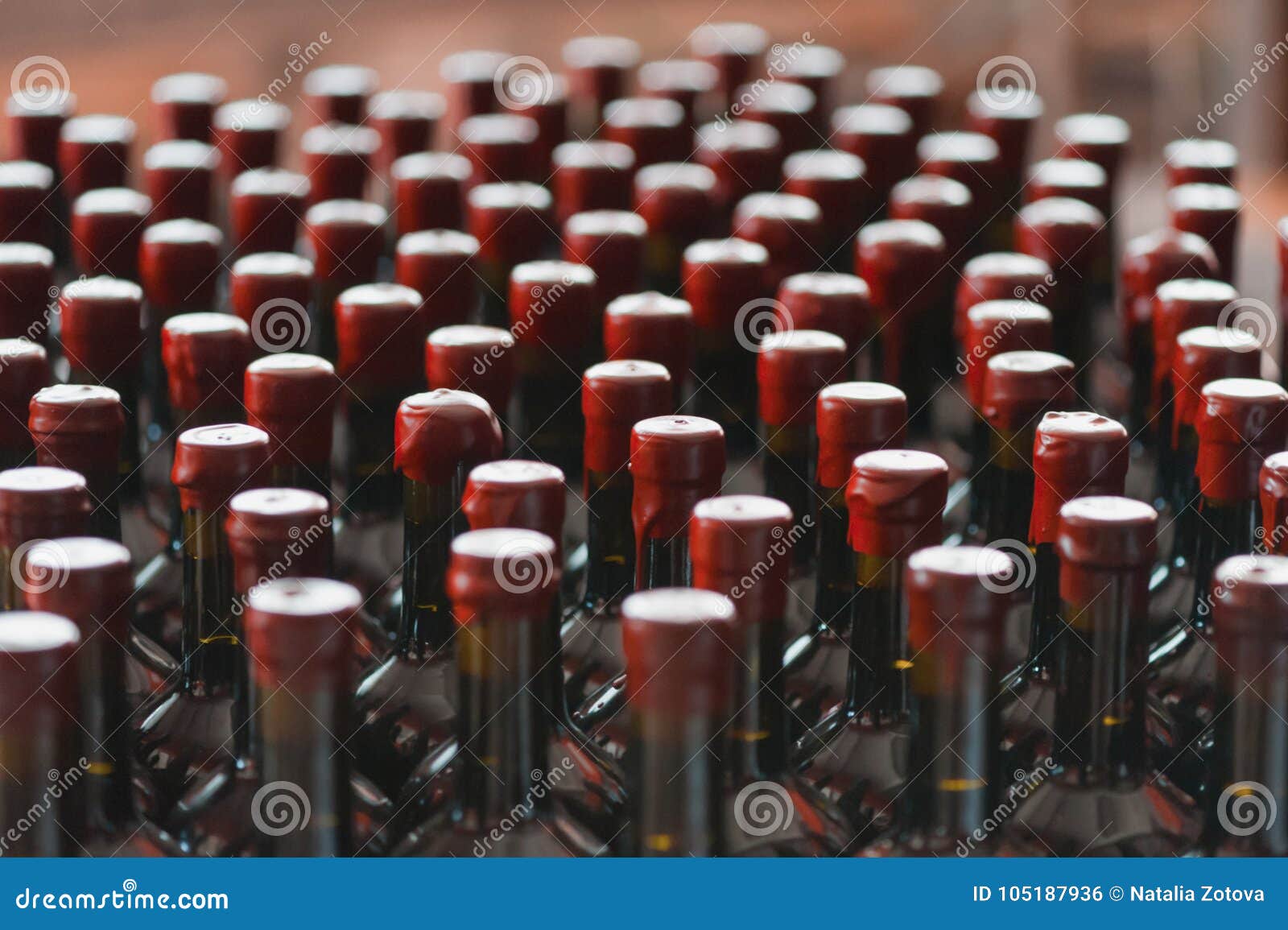 Many Wine Bottles Arranged Neatly Stock Photo - Image of plenty, wine ...
