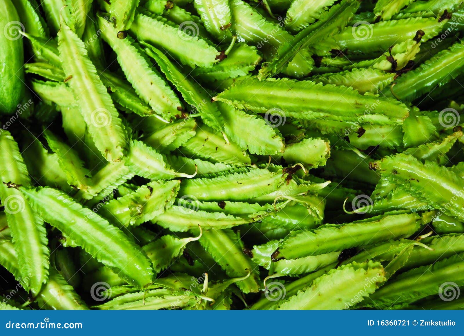 Many of Winged Bean in Fresh Market Stock Image - Image of coooking ...