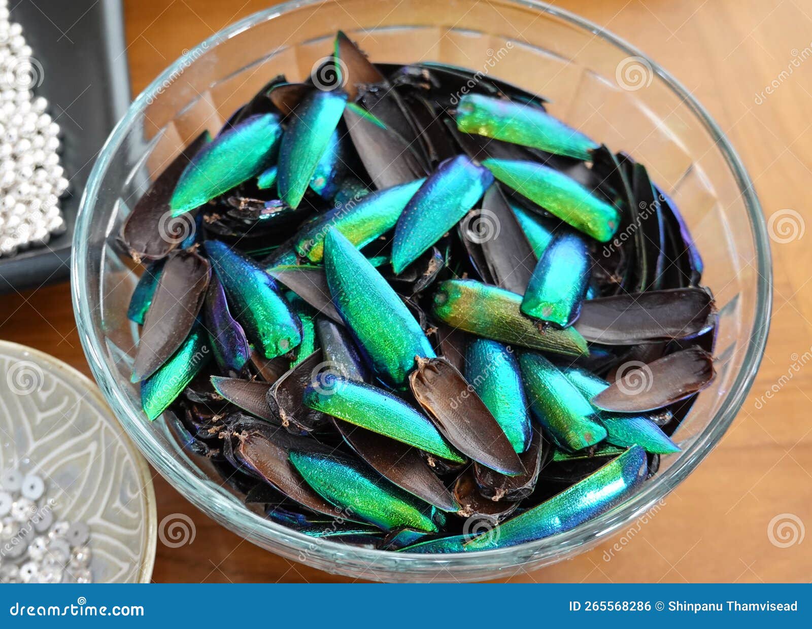 Many Wings of Buprestis Beetle Wings in the Glass Bowl. Stock Photo ...