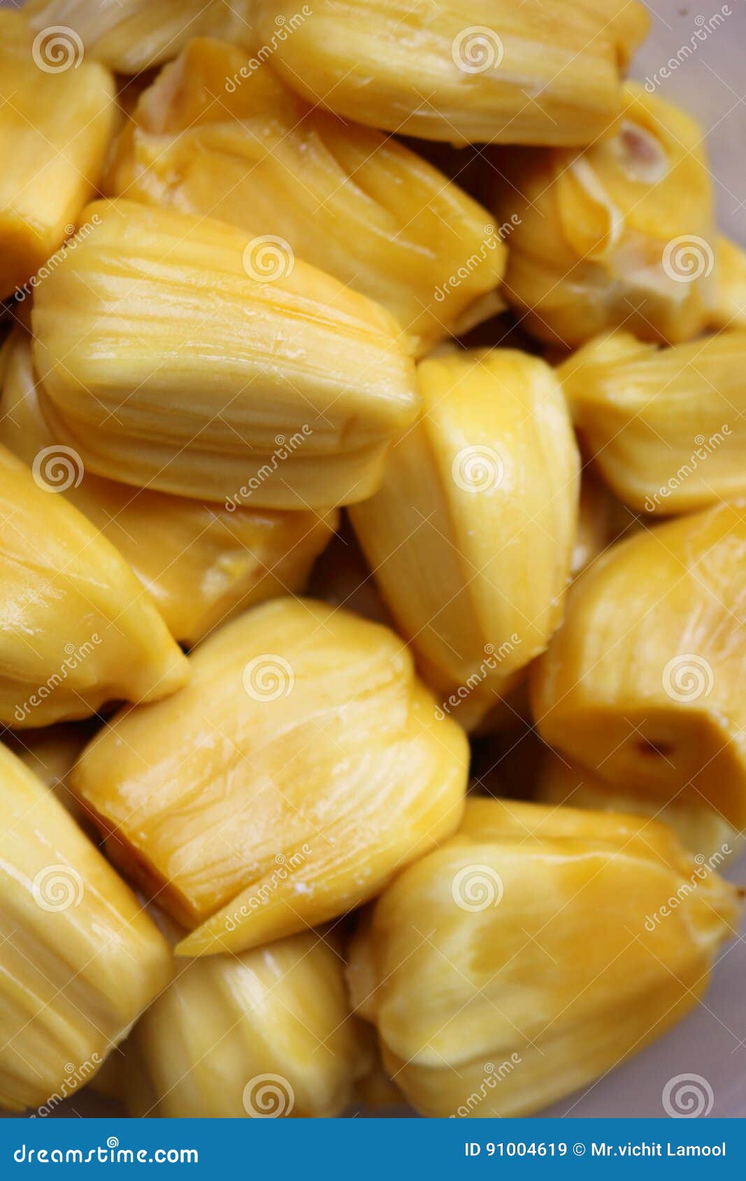Many yellow jackfruit. stock image. Image of detail, healthy - 91004619