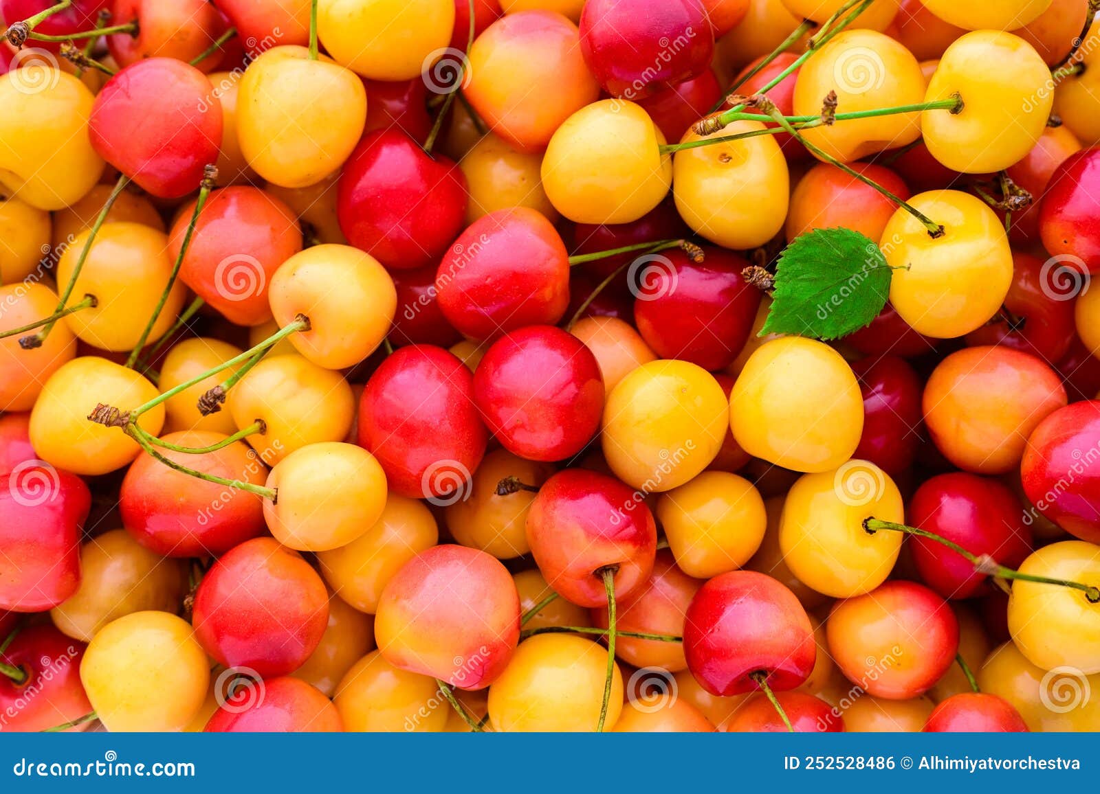 Pink Cherries Stock Photo | CartoonDealer.com #63866058