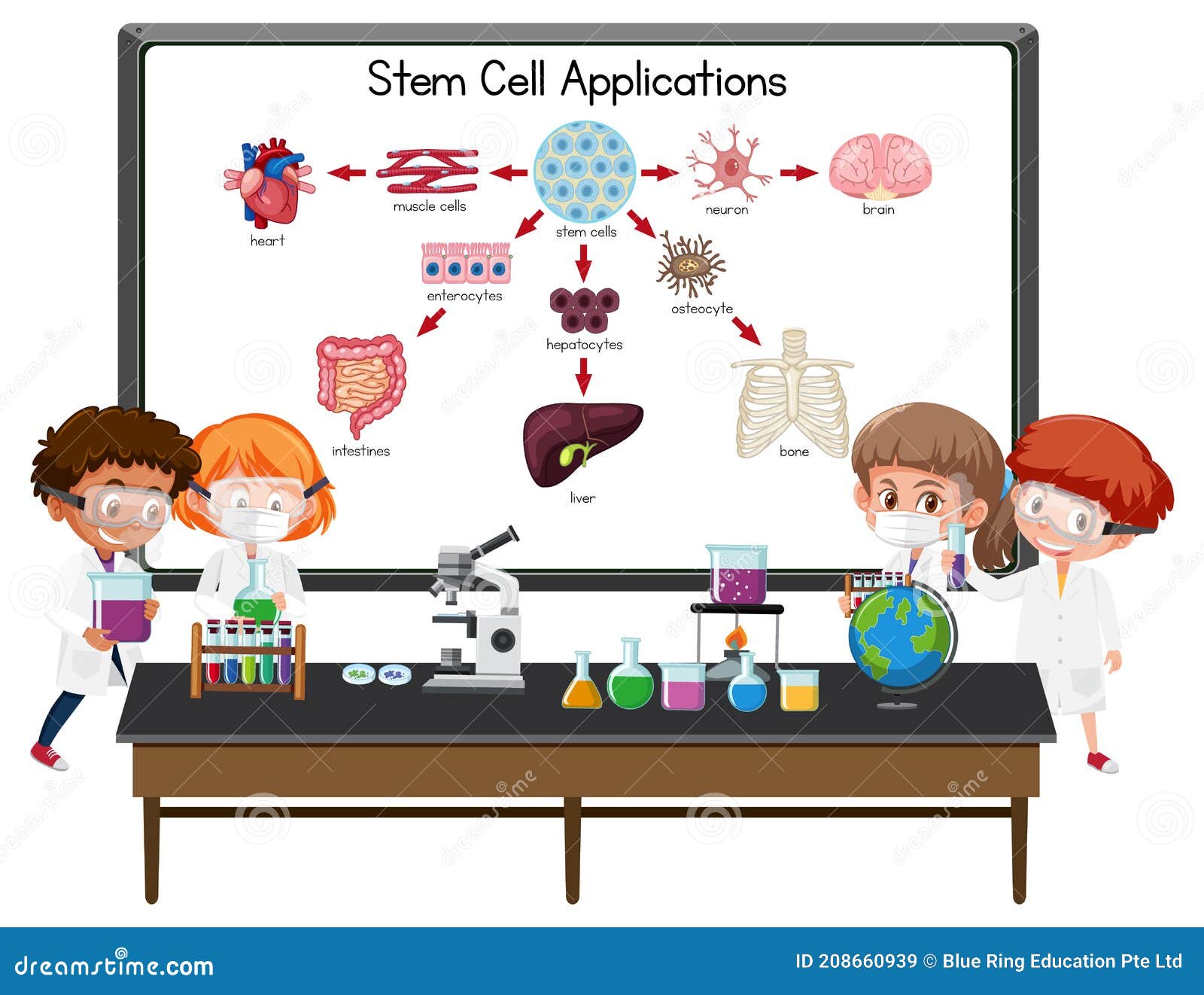 Many Young Scientists Explaining Stem Cell Application in Front of a ...