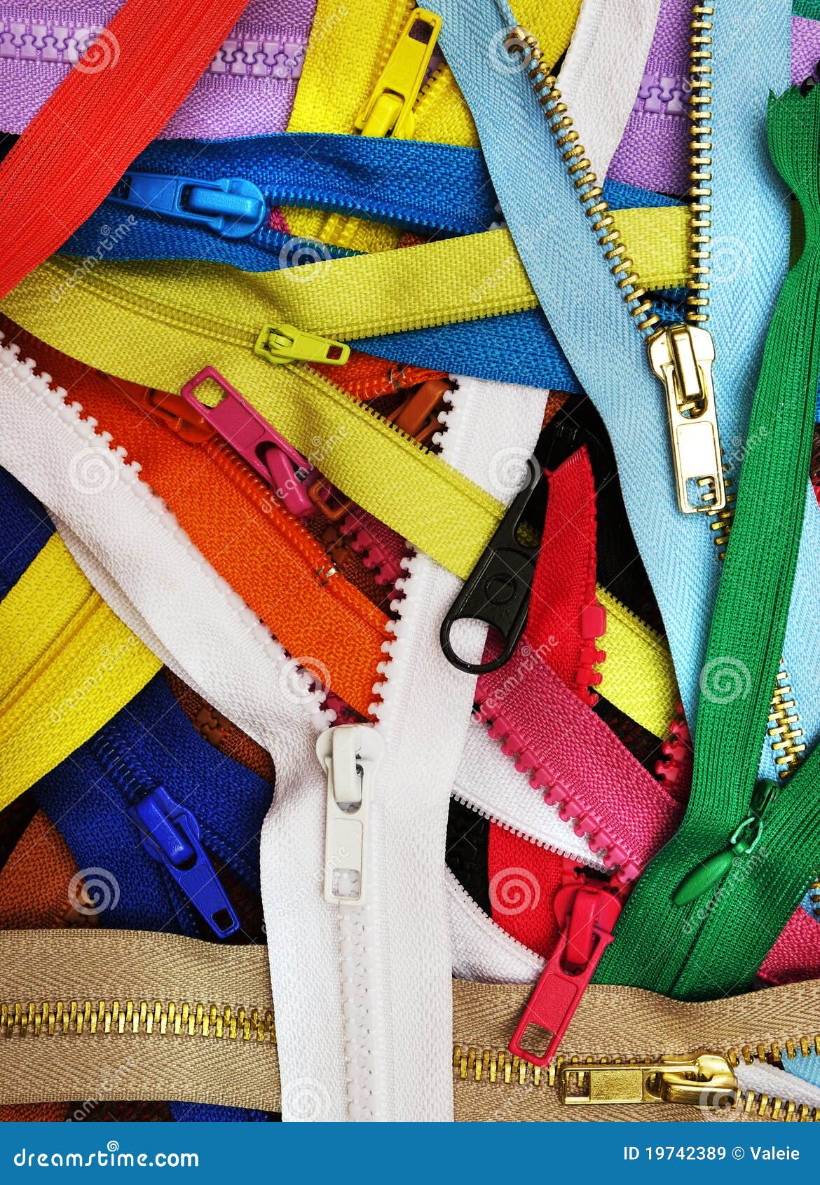 Many zippers stock image. Image of teeth, clothing, colorfull - 19742389