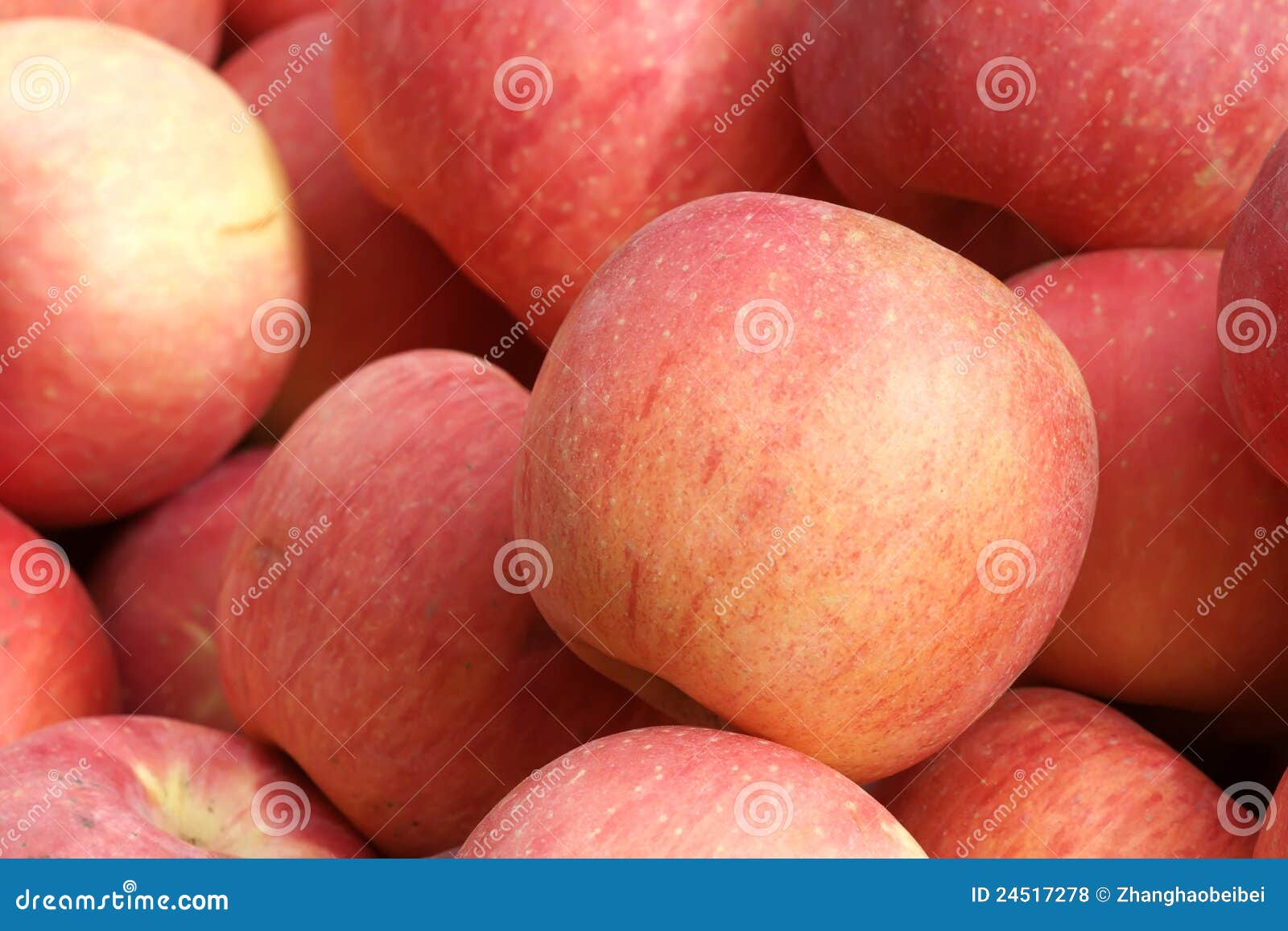 Manzana de Fuji foto de archivo. Imagen de frutas, rojo - 24517278