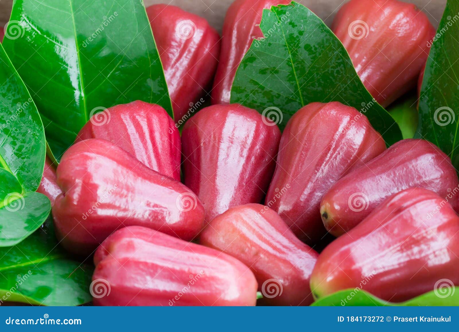 Manzana de rosa foto de archivo. Imagen de nadie, aislado - 184173272