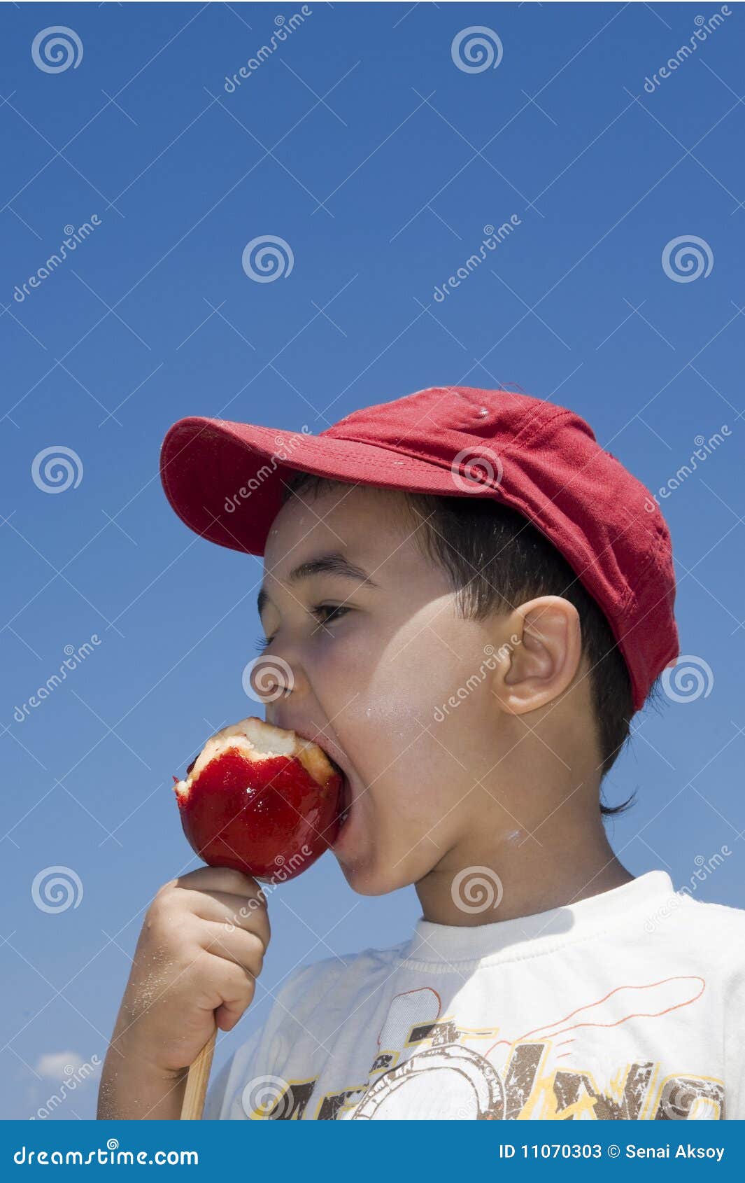 Manzana escarchada imagen de archivo. Imagen de lindo - 11070303