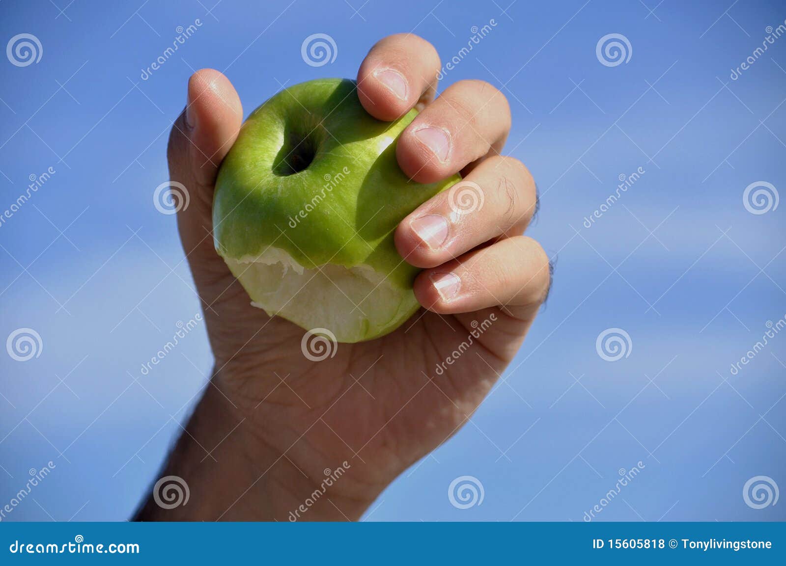Manzana mordida foto de archivo. Imagen de manzana, fruta - 15605818