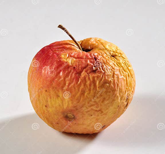 Manzana putrefacta imagen de archivo. Imagen de putrefacto - 16073043