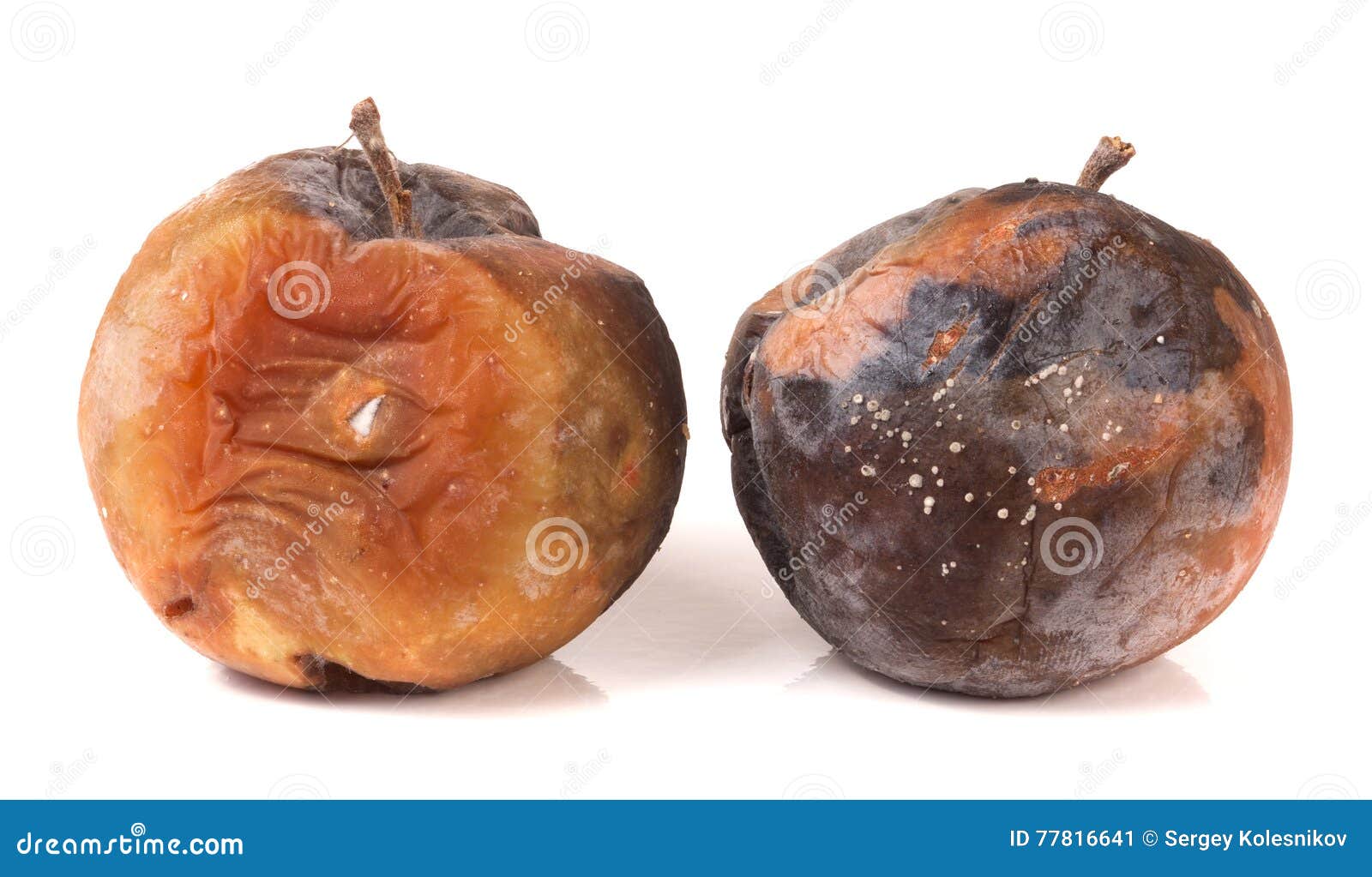 Manzana Putrefacta Dos Aislada En Un Fondo Blanco Imagen de archivo ...