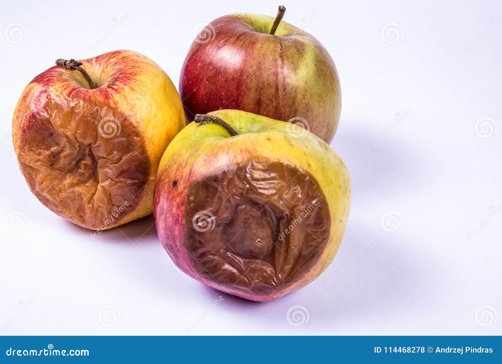 Manzana Putrefacta En Un Fondo Blanco Foto de archivo - Imagen de ...