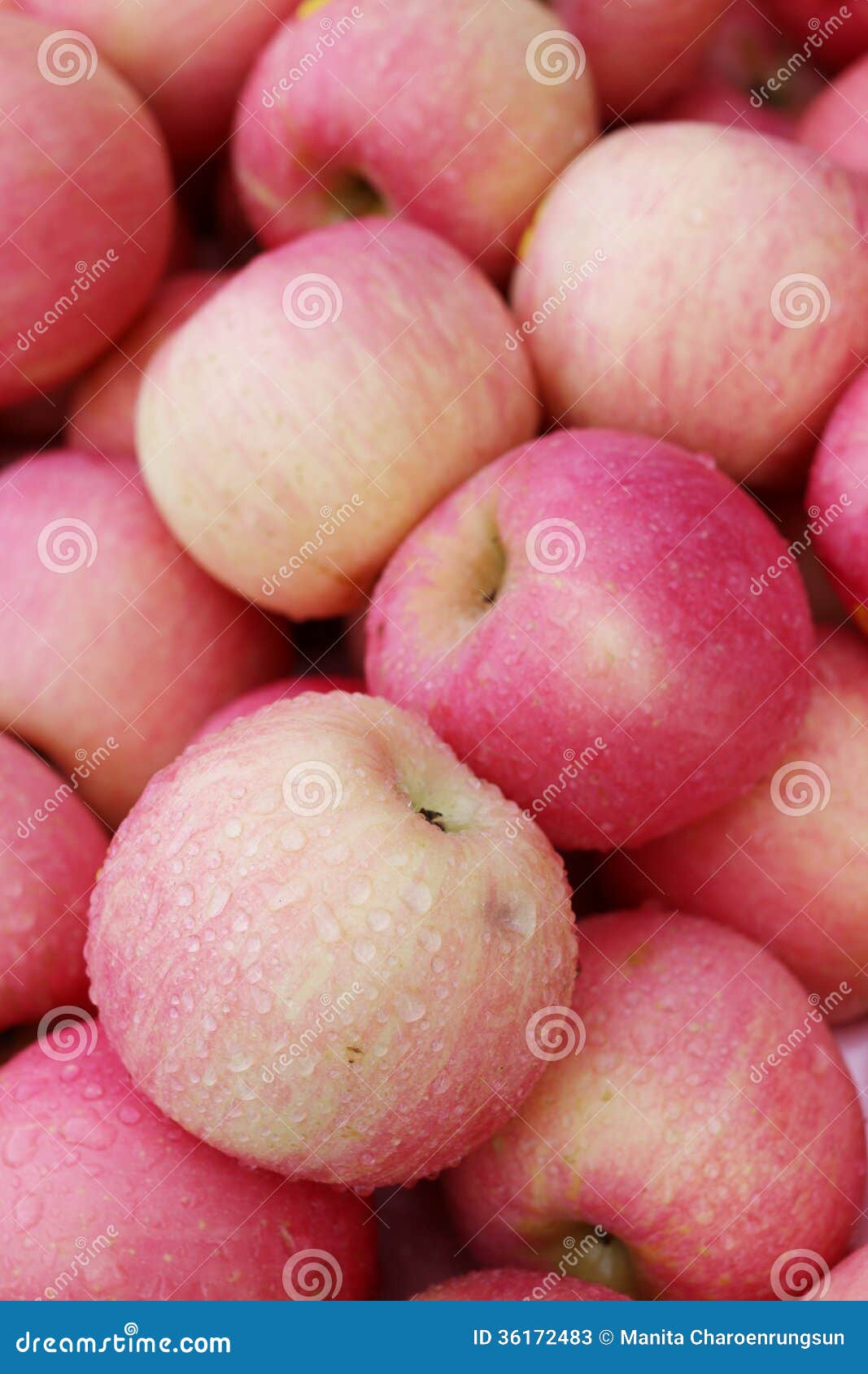 Manzana Rosada En El Mercado Imagen de archivo - Imagen de amargo ...