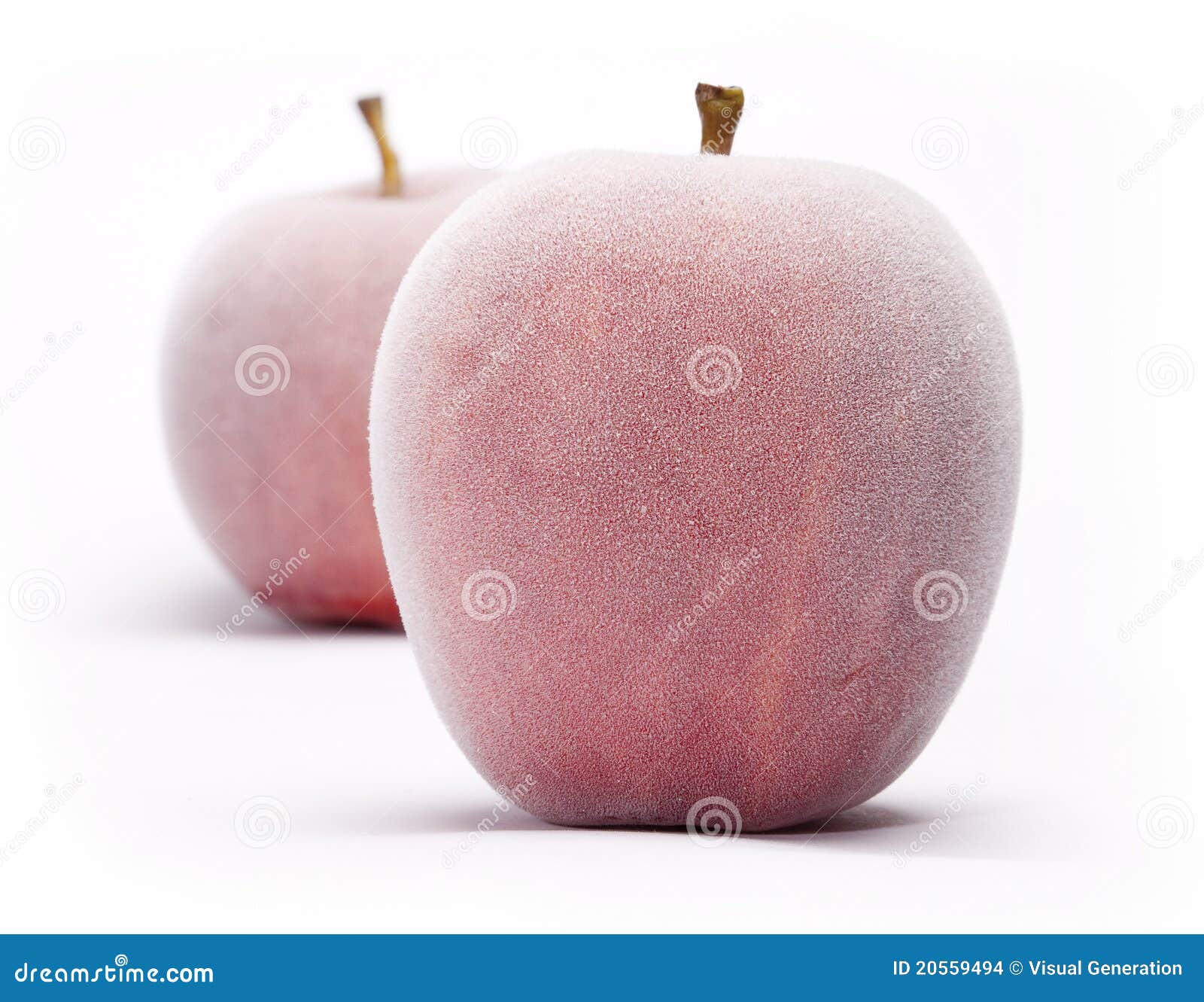 Manzanas congeladas foto de archivo. Imagen de planta - 20559494