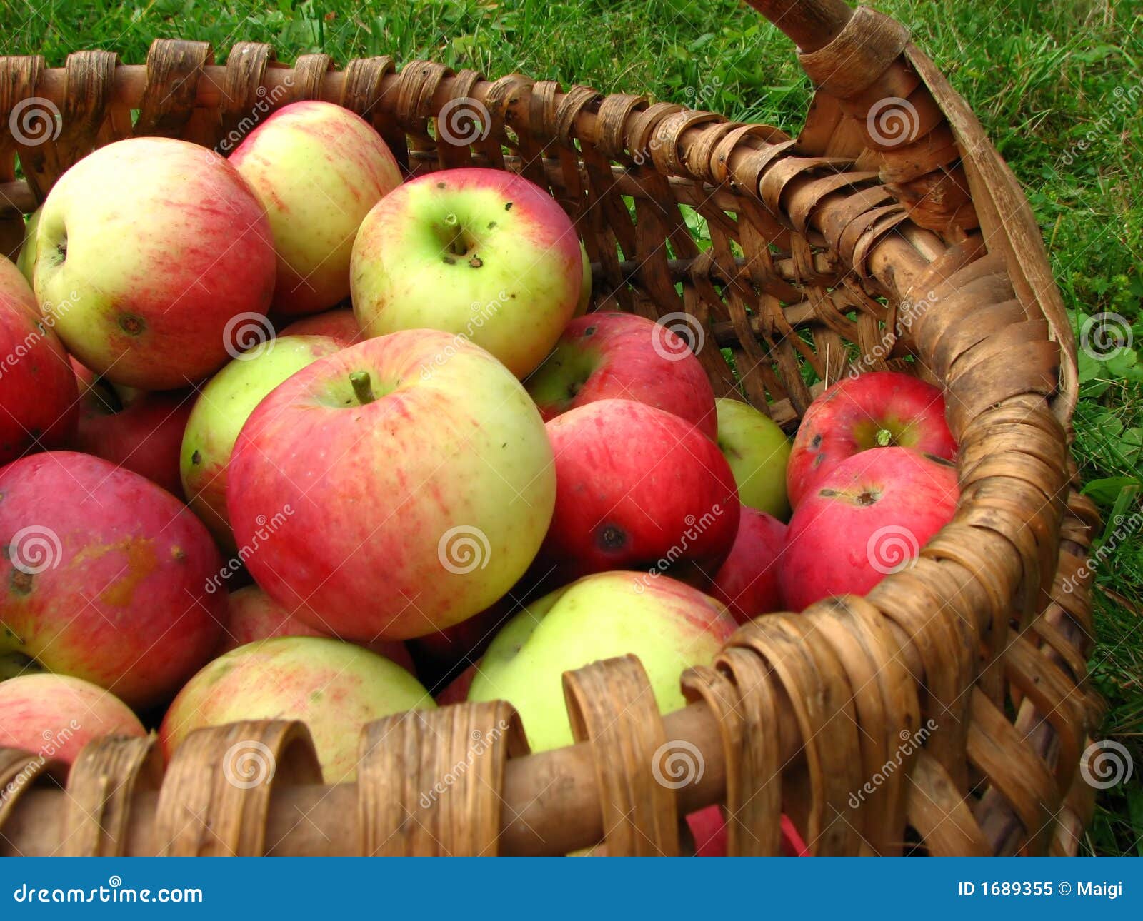 Manzanas en cesta imagen de archivo. Imagen de manzanas - 1689355