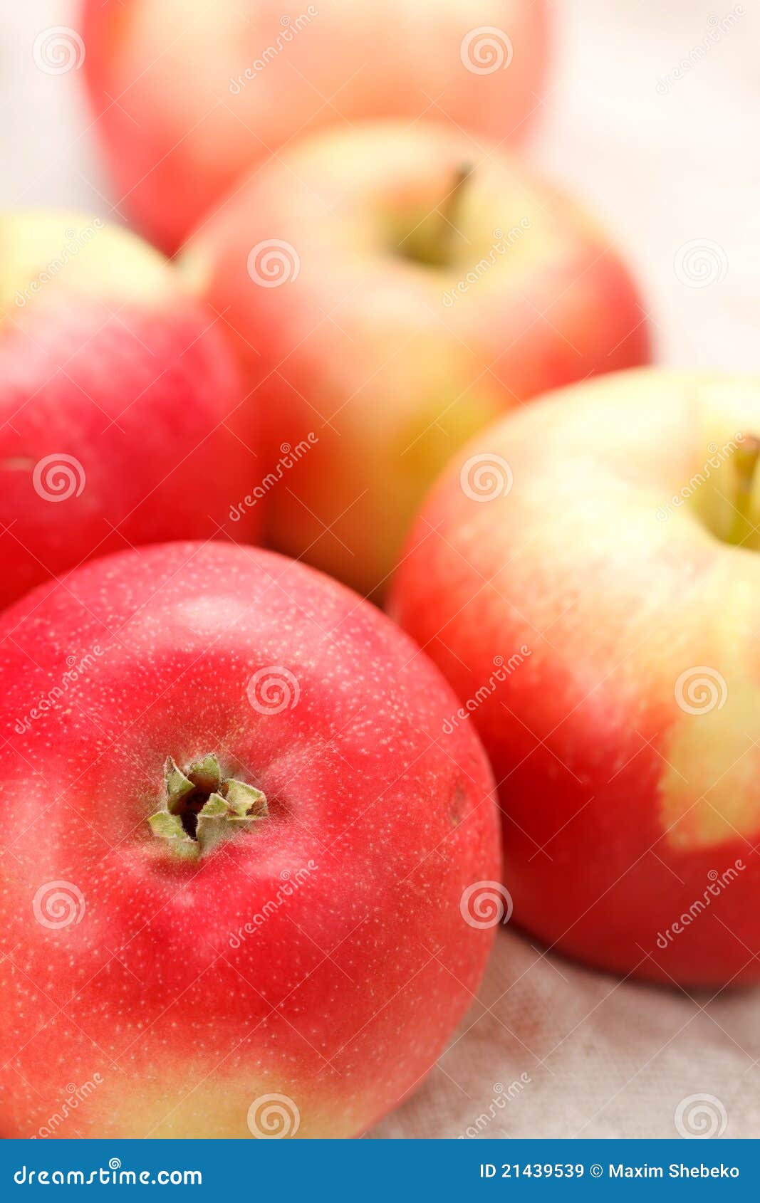 Manzanas frescas imagen de archivo. Imagen de manzanas - 21439539