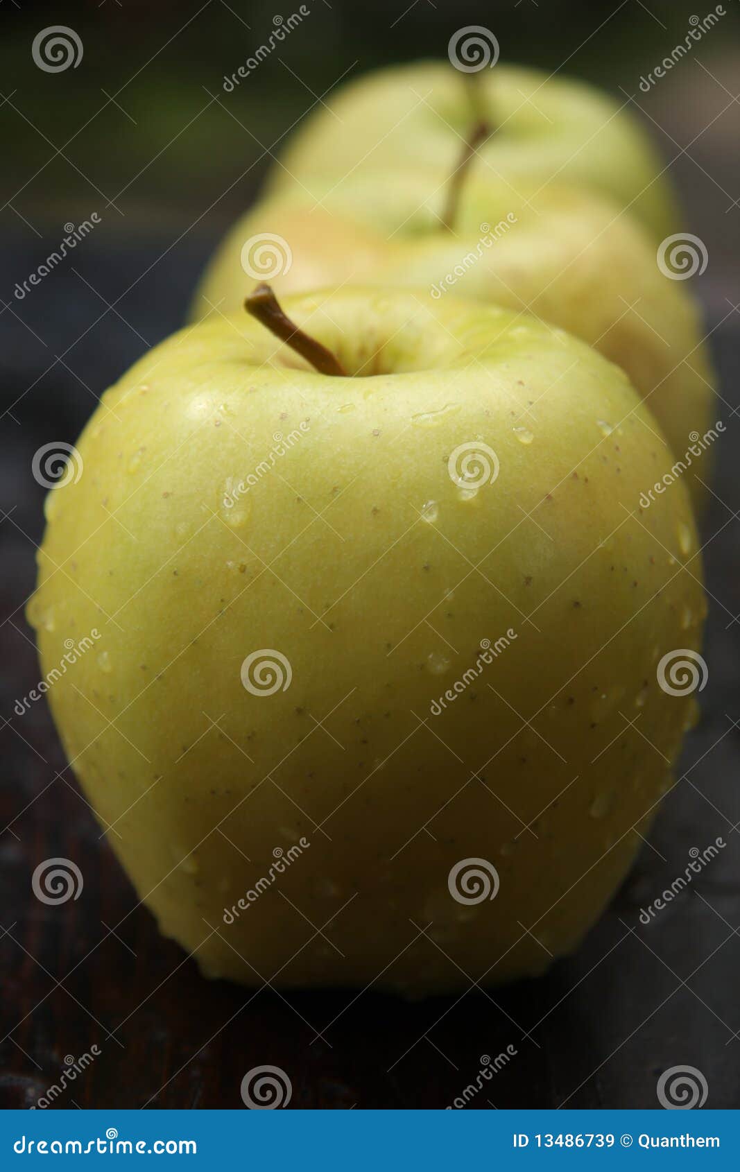 Manzanas "golden Delicious" Imagen de archivo - Imagen de tres, fondo ...