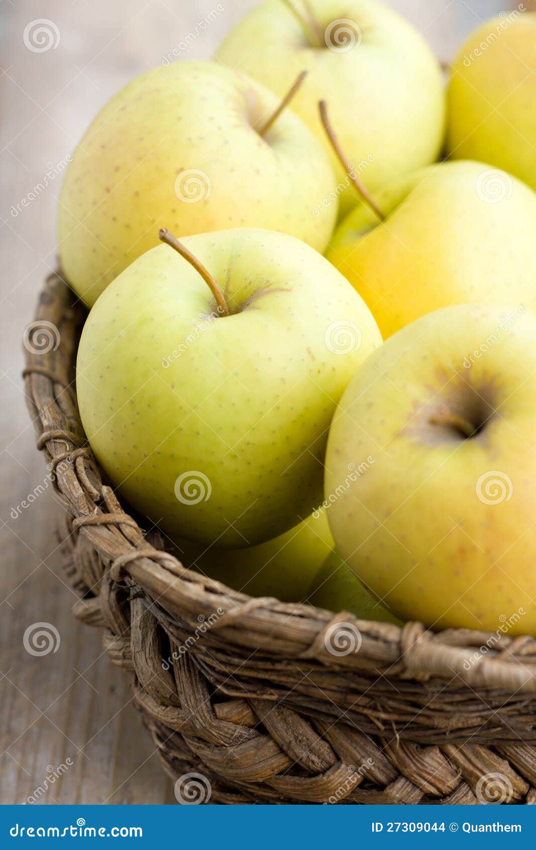 Manzanas "golden Delicious" Foto de archivo - Imagen de estudio, vida ...