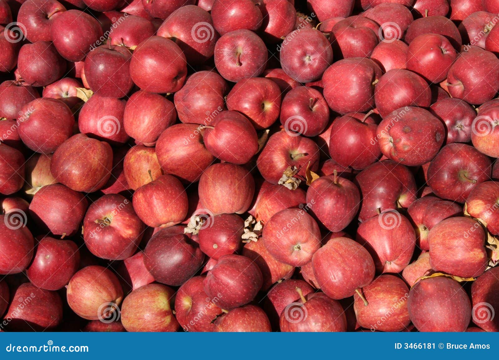 Manzanas red delicious imagen de archivo. Imagen de sano - 3466181
