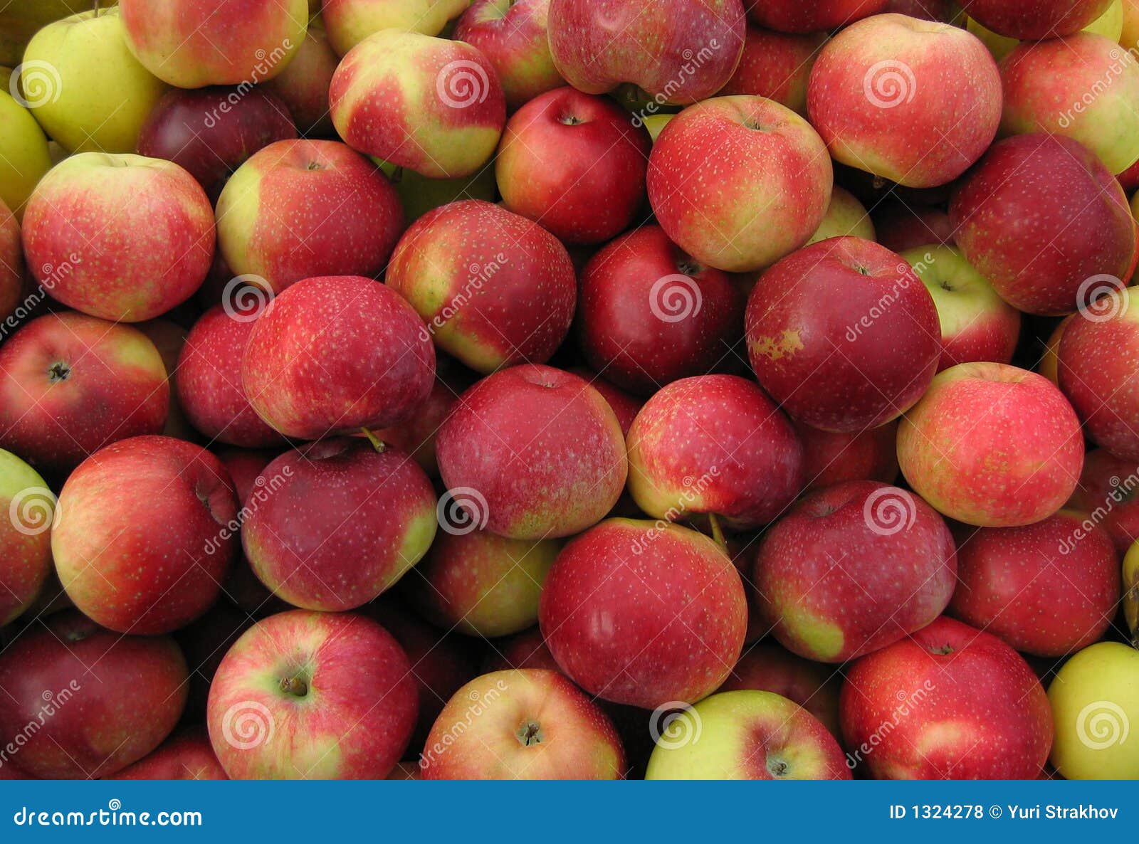 Manzanas rojas. foto de archivo. Imagen de alimento, dieta - 1324278