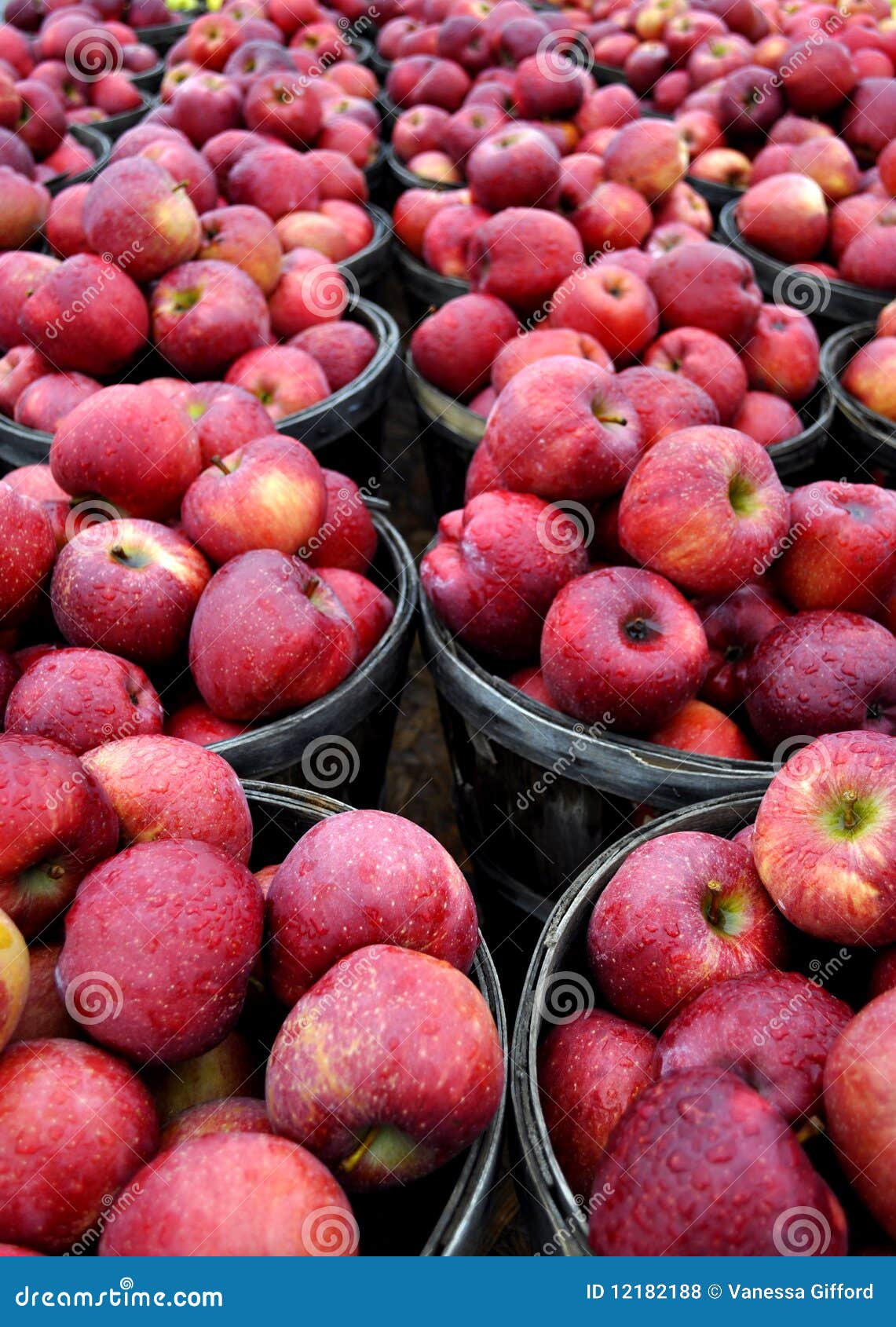 Manzanas Rojas En Celemines Foto de archivo - Imagen de alimento, coma ...