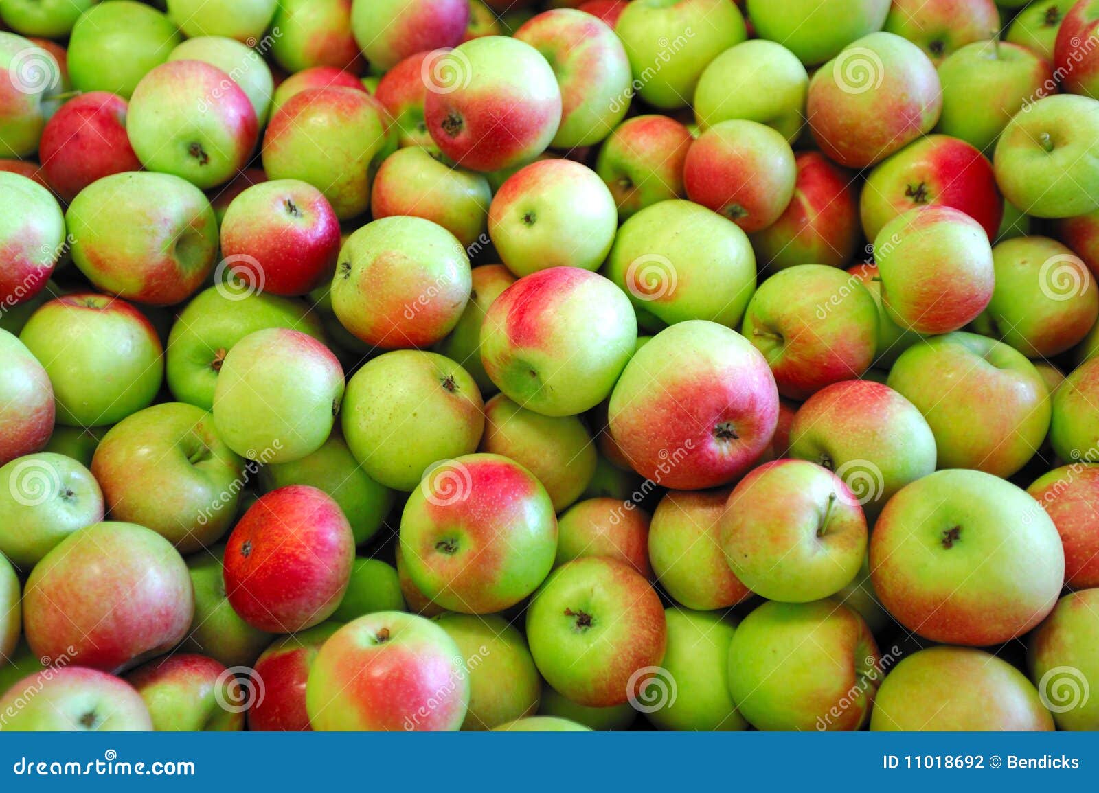 Manzanas verdes y rojas foto de archivo. Imagen de sano - 11018692