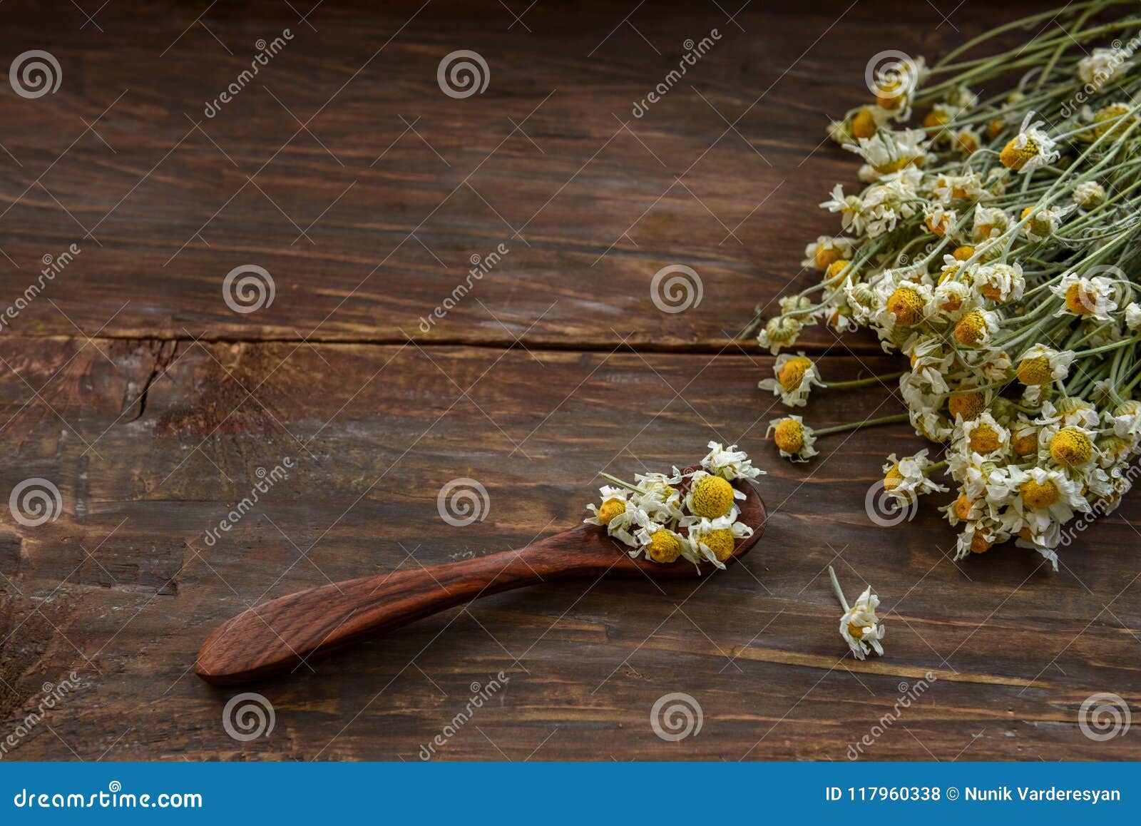 Manzanilla Seca En La Tabla De Madera Foto de archivo - Imagen de ...