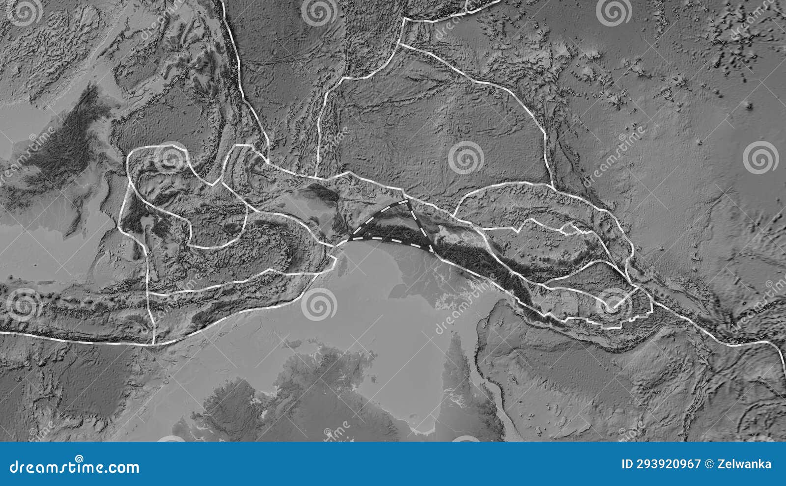Maoke Plate Dashed. Patterson Cylindrical. Grayscale Stock Illustration ...