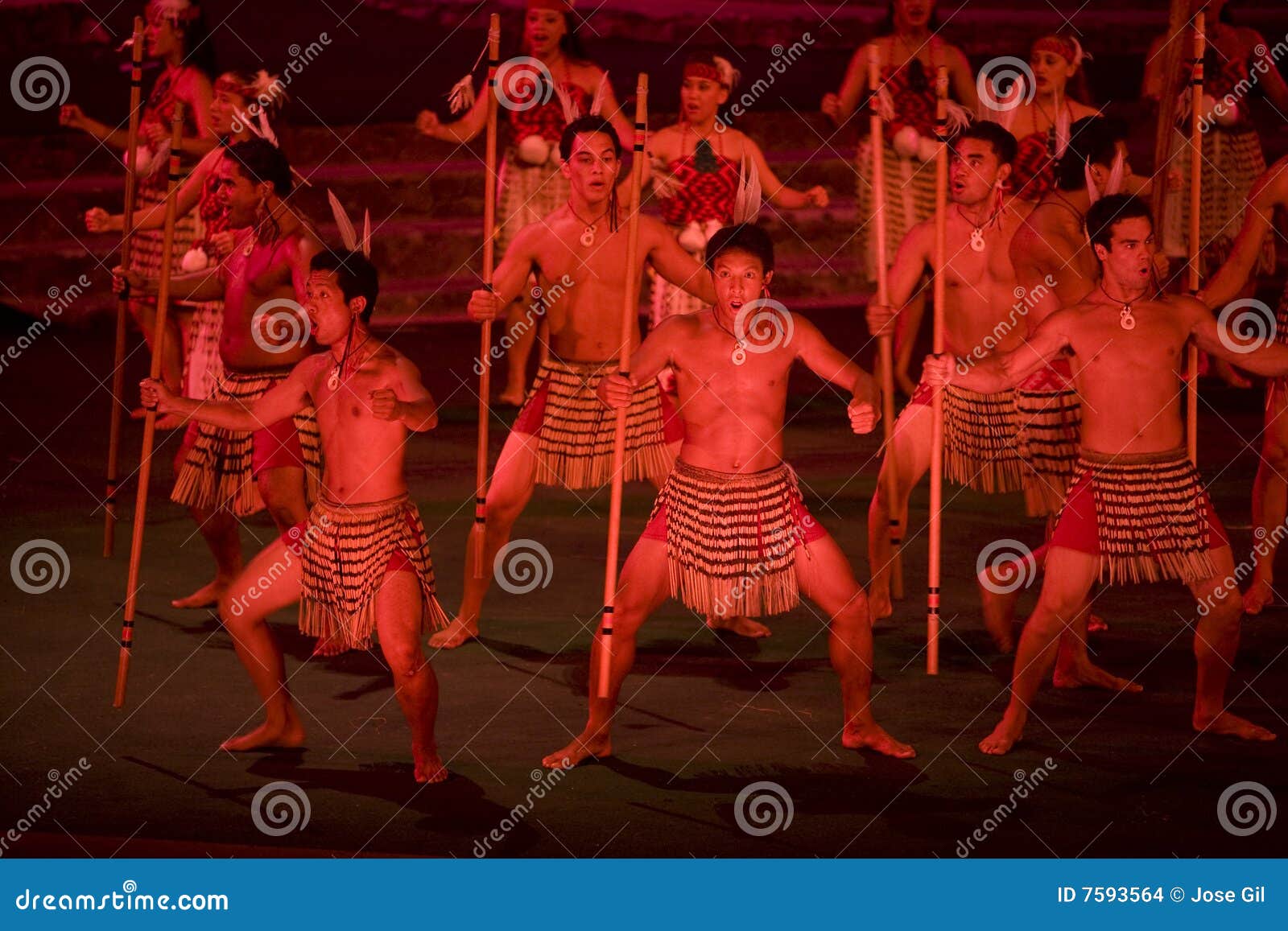 Maori Haka 2331 editorial stock image. Image of dramatic - 7593564