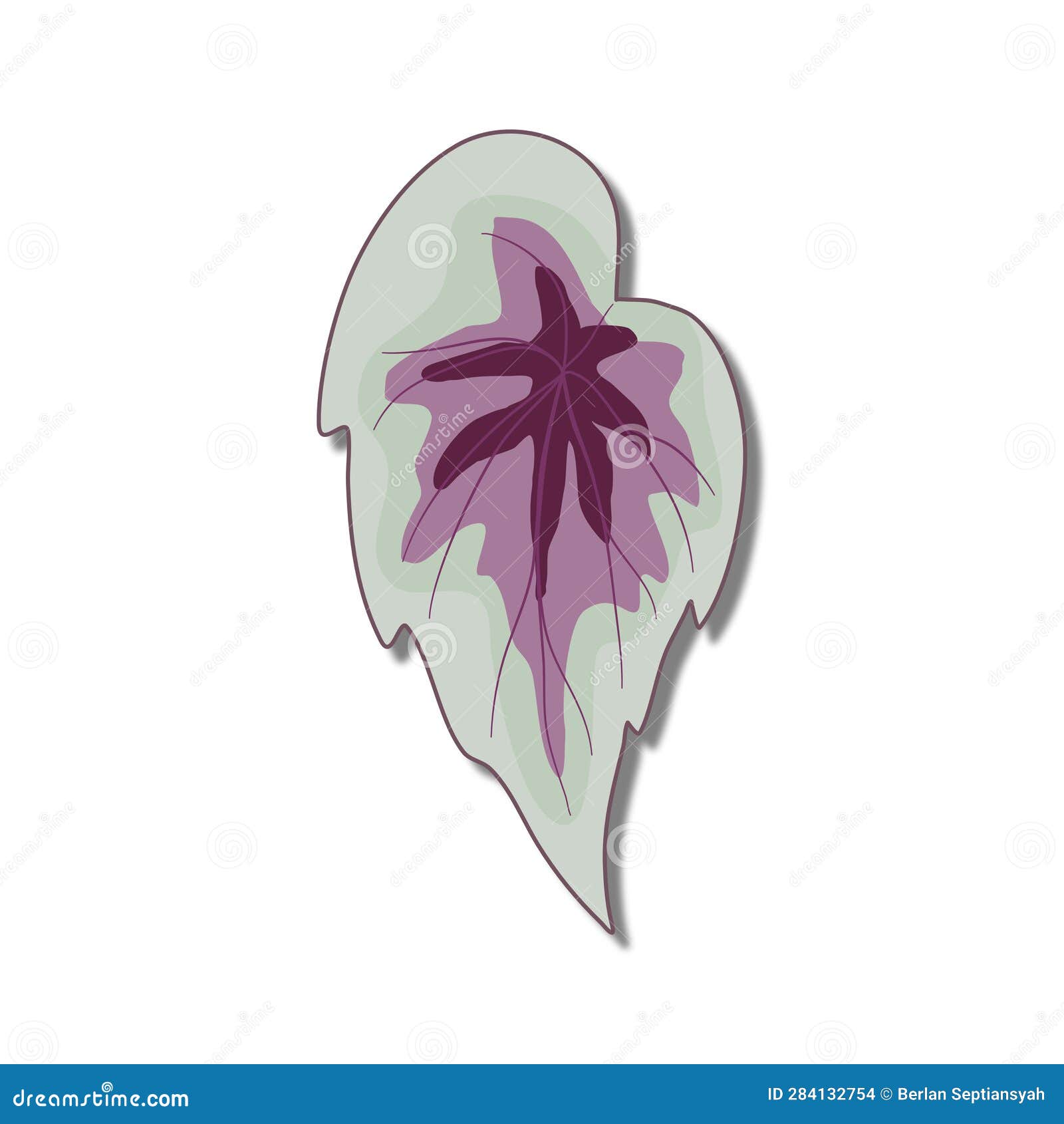 Begonia Plant. Maori Haze Leaf. Vector Illustration Stock Vector ...
