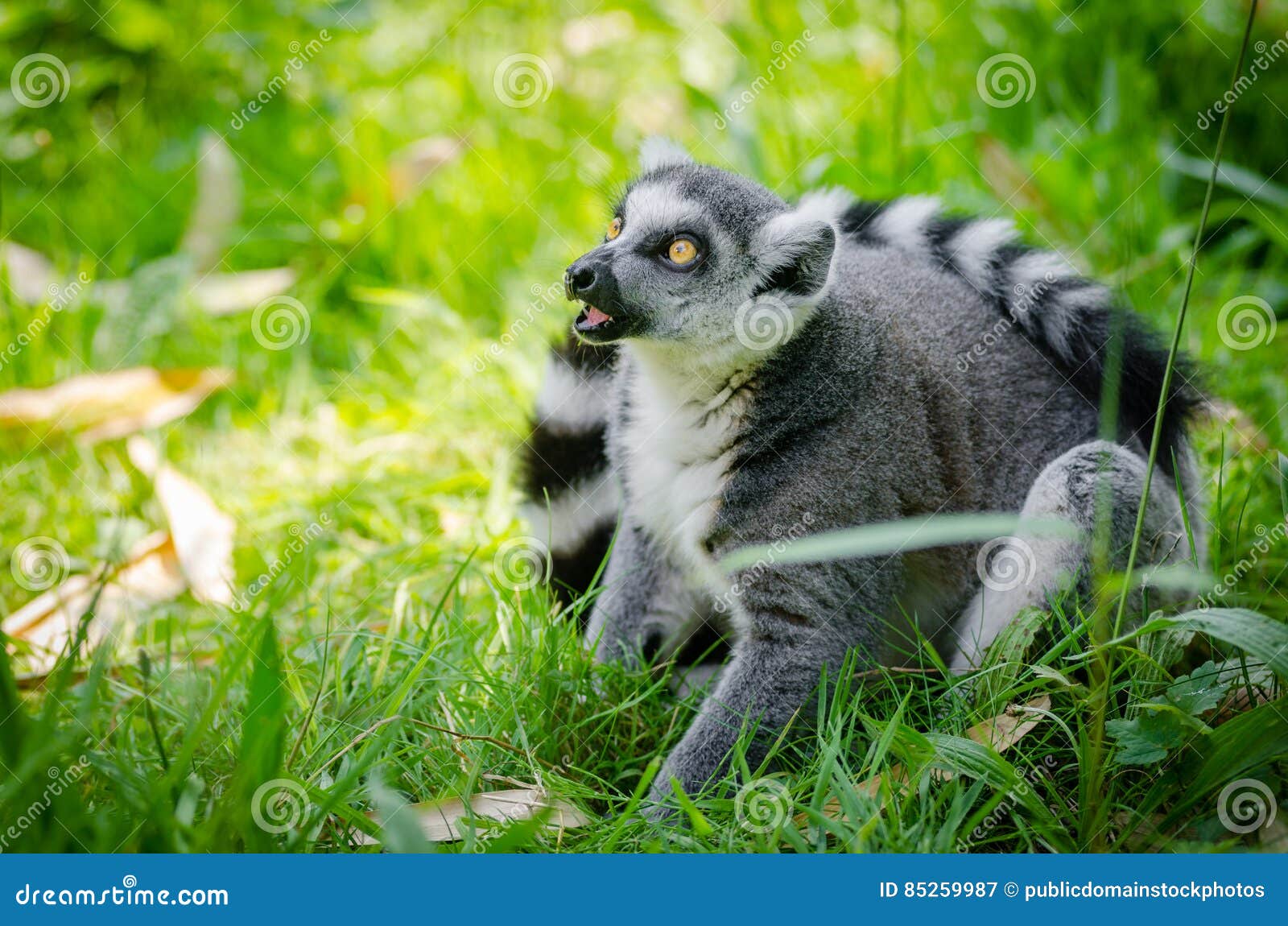 MAP_3670 Picture. Image: 85259987