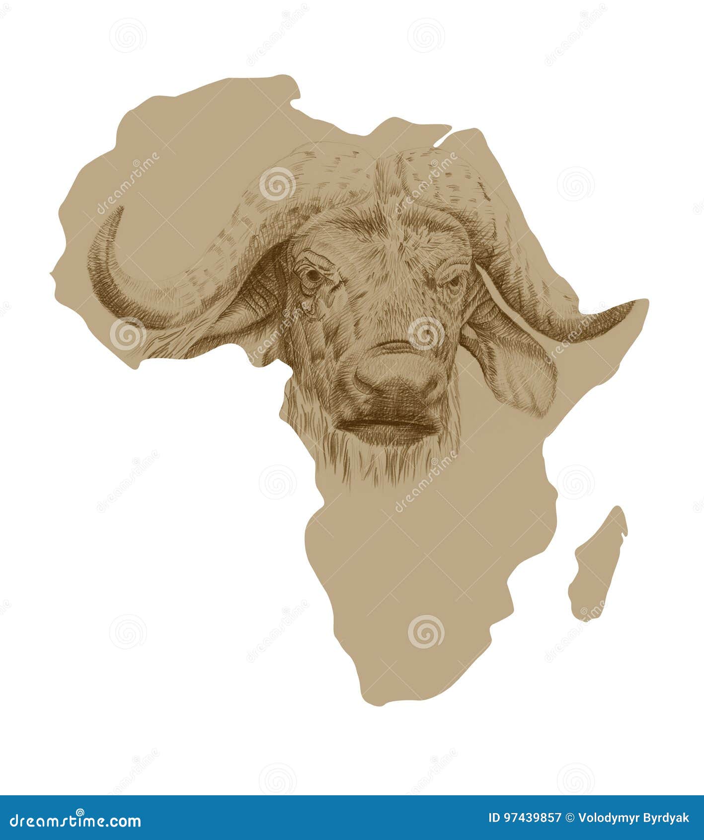 Map of Africa with Drawn Buffalo Stock Illustration - Illustration of ...