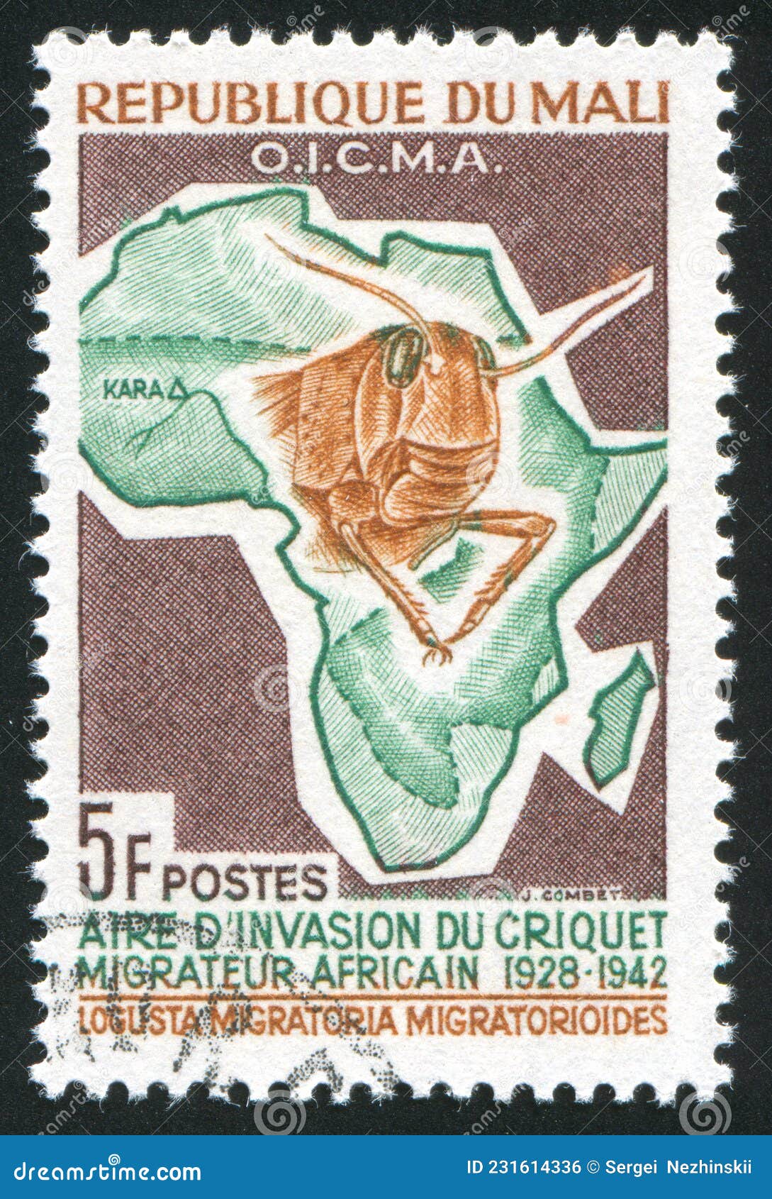 Migratory Locust Locusta Migratoria Head, Map Of Africa, Fight Against ...